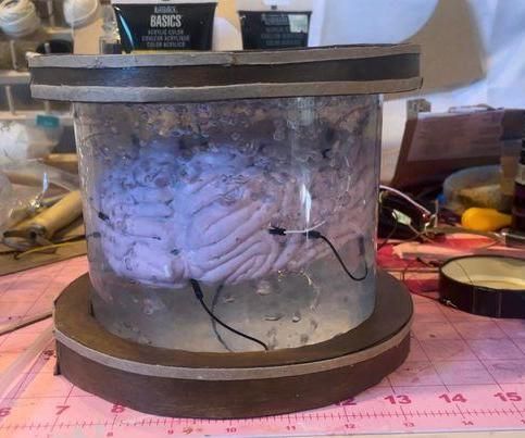 Brain in a Vat : 3 Steps - Instructables