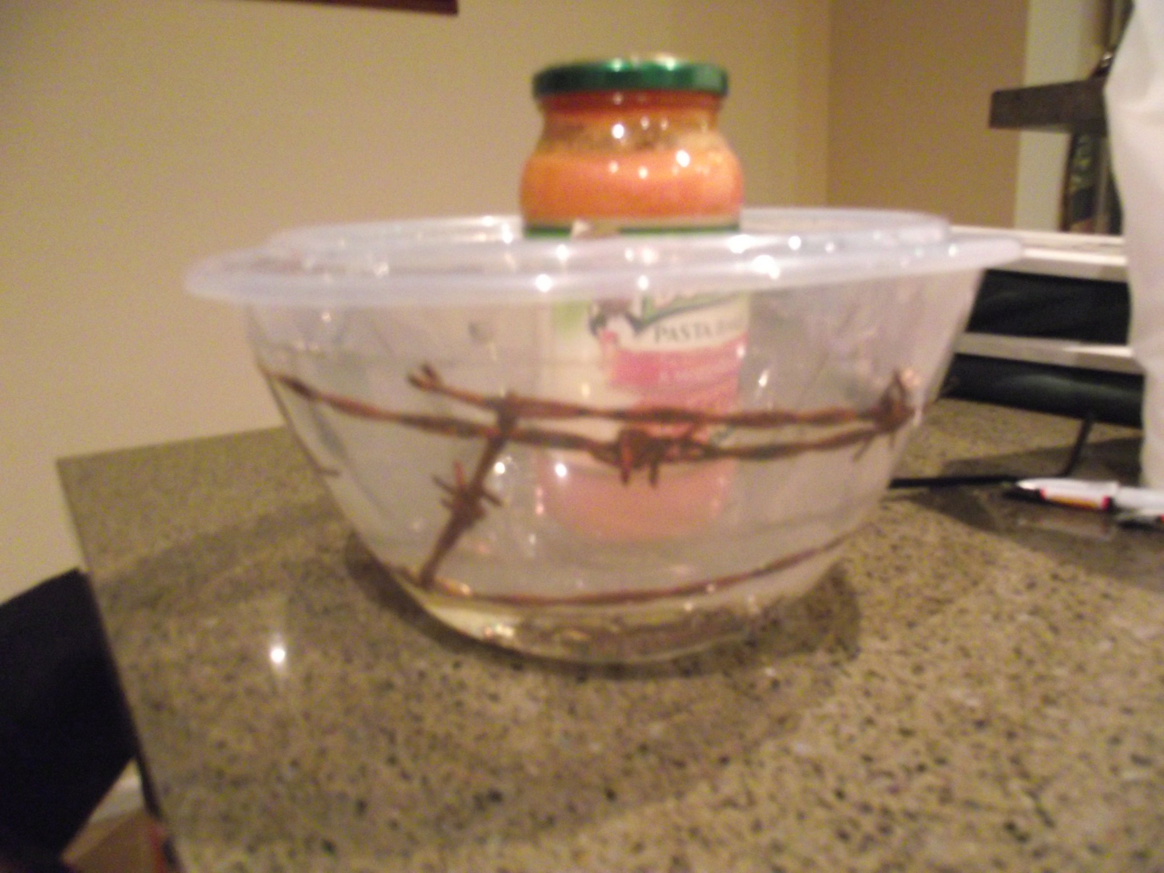 Cast Epoxy Resin Bowls : 9 Steps (with Pictures) - Instructables