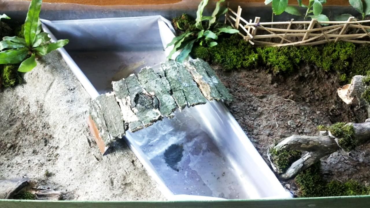 Turtle Habitat for Baby Turtles | Homemade Turtle Garden : 18 Steps ...