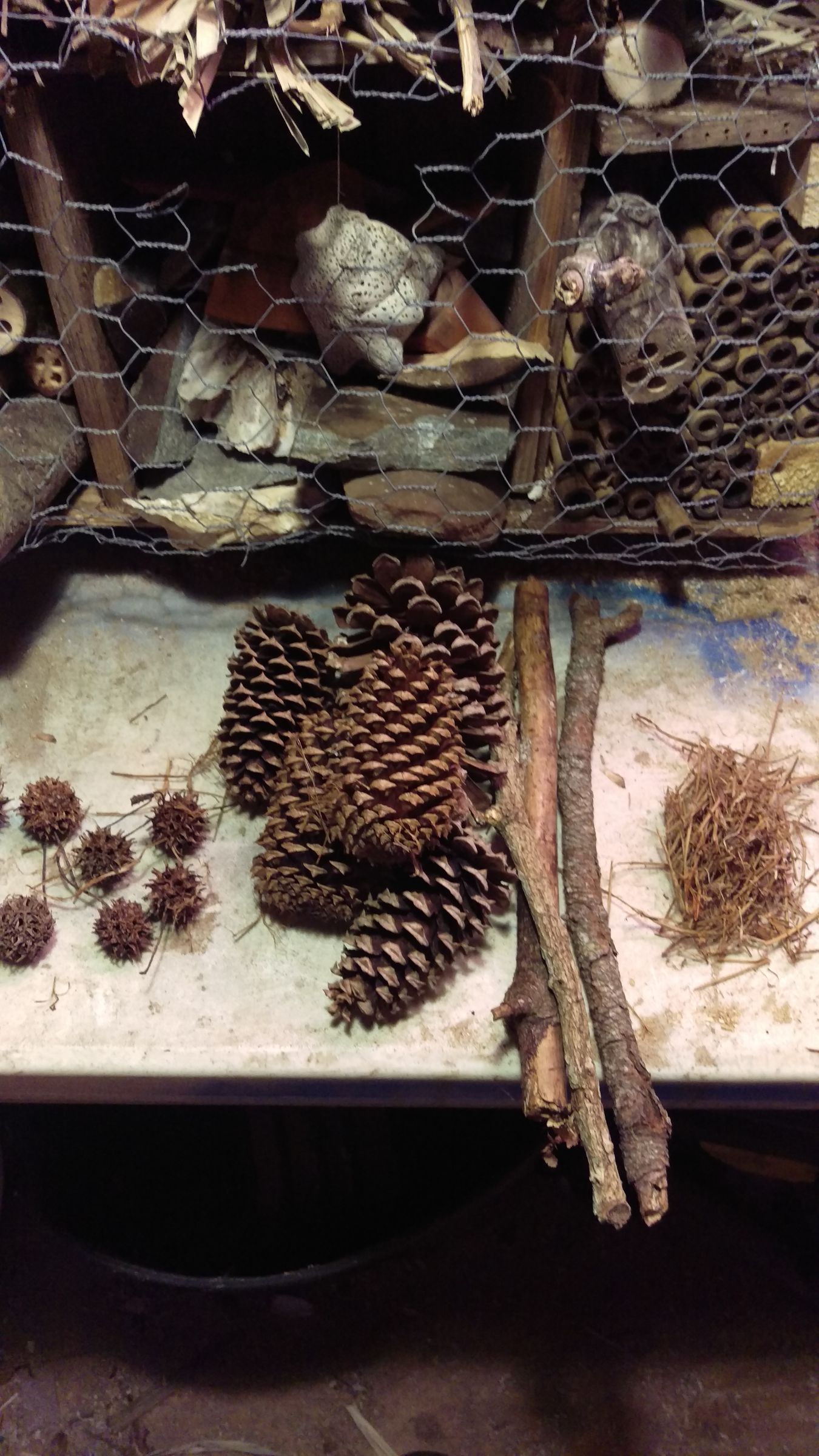 Bee Condo Insect Hotel : 9 Steps (with Pictures) - Instructables