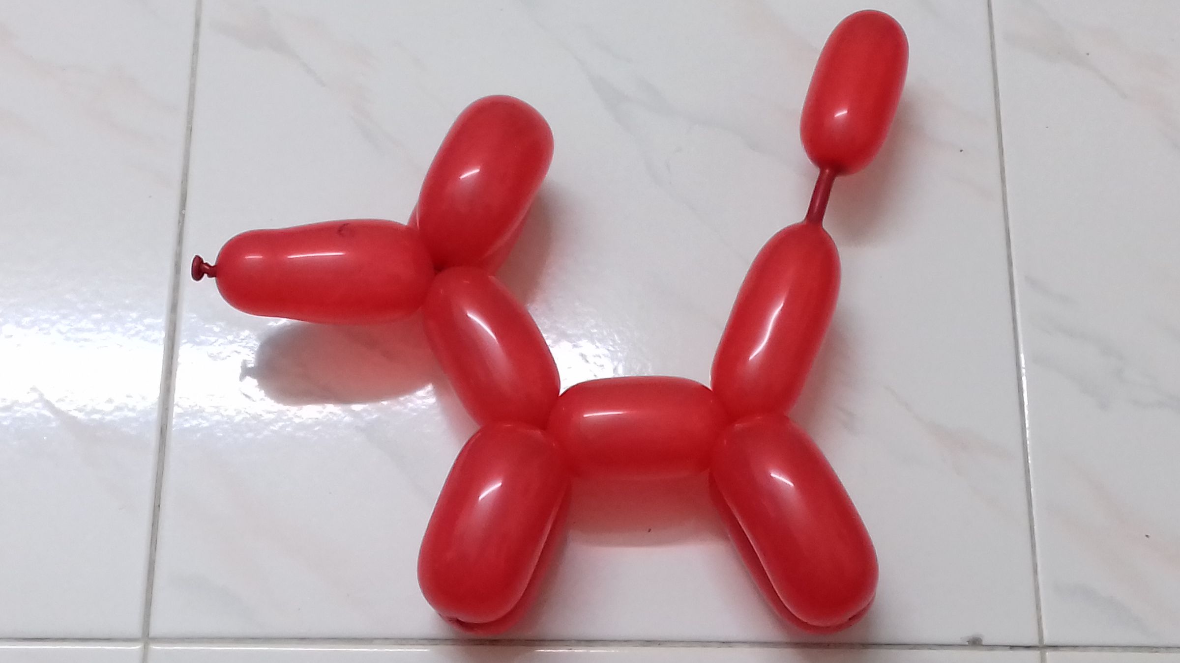 Balloon Twisting- Dog : 7 Steps (with Pictures) - Instructables