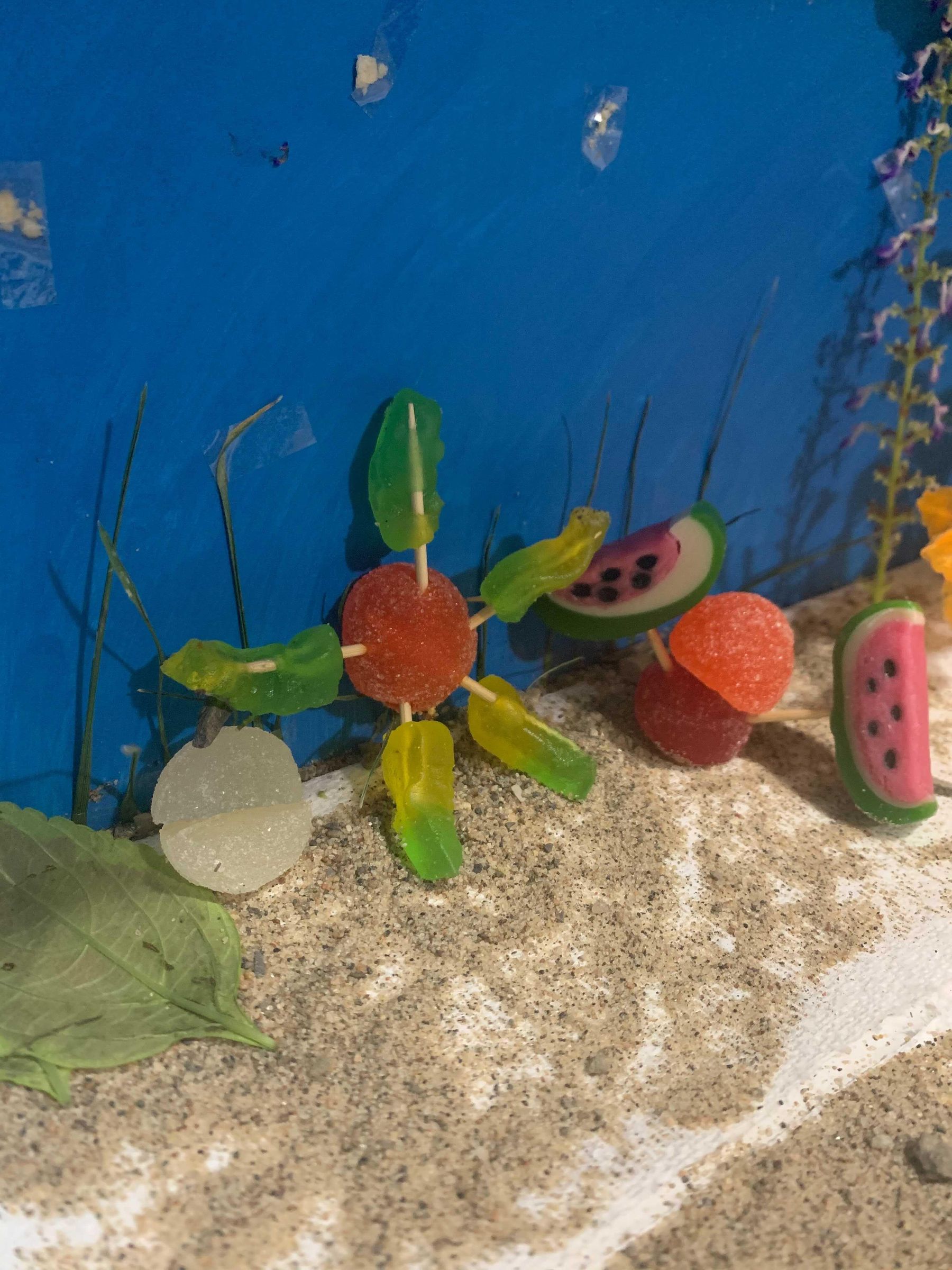 Marine Ecosystem Made From Candy : 9 Steps - Instructables
