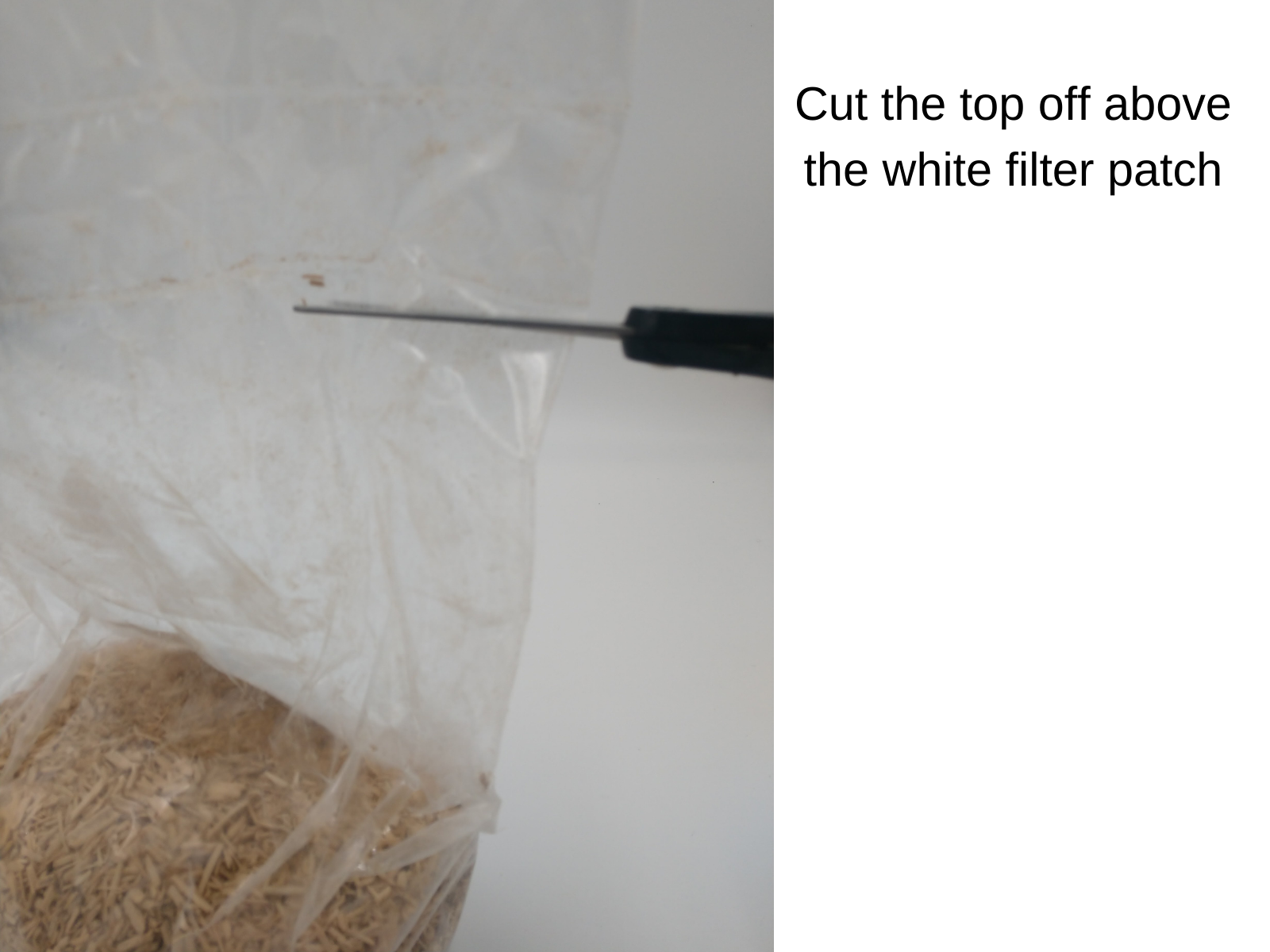 Growing Mycelium in the Classroom and Making Stuff With It ...