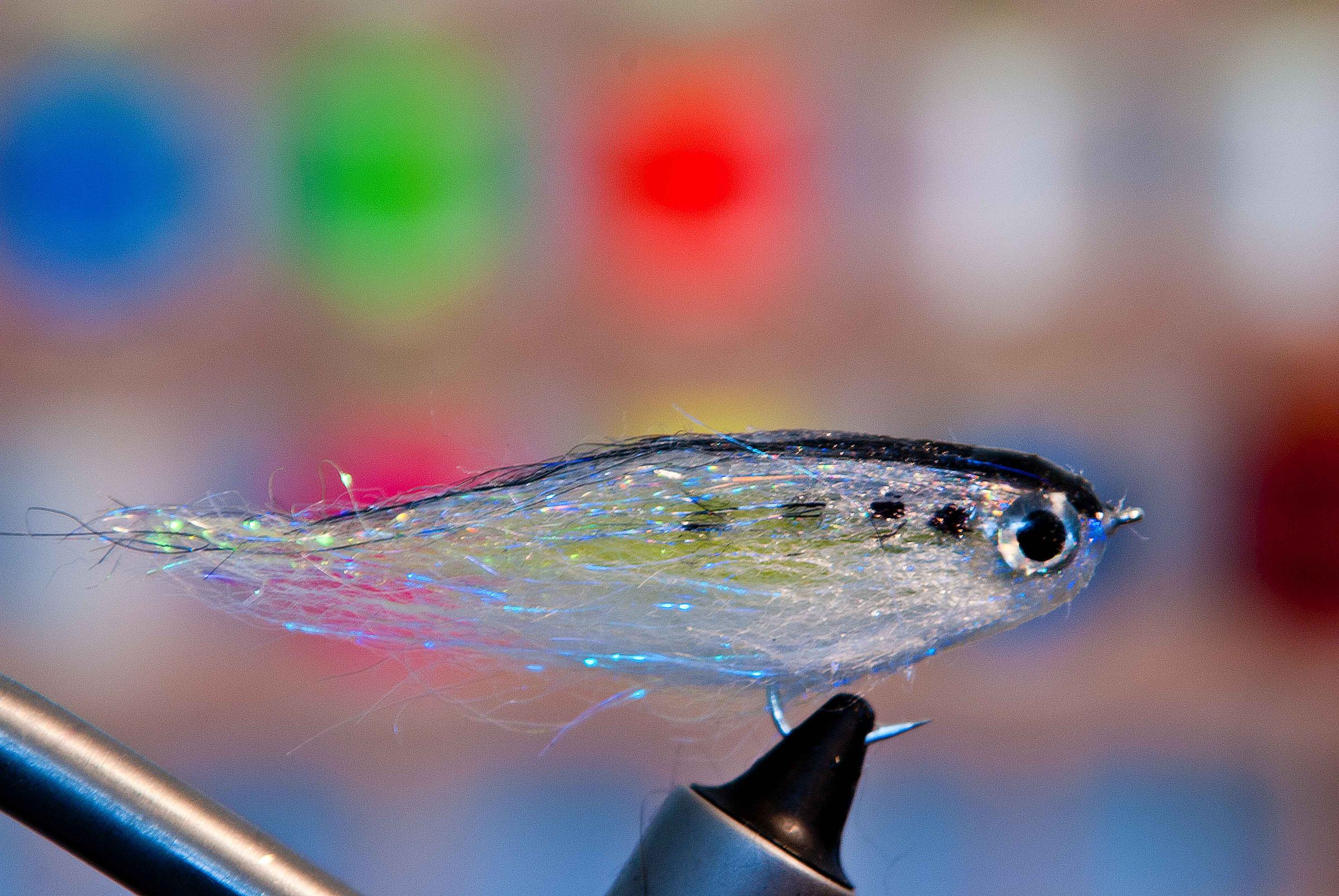 Threadfin Shad Fly Pattern