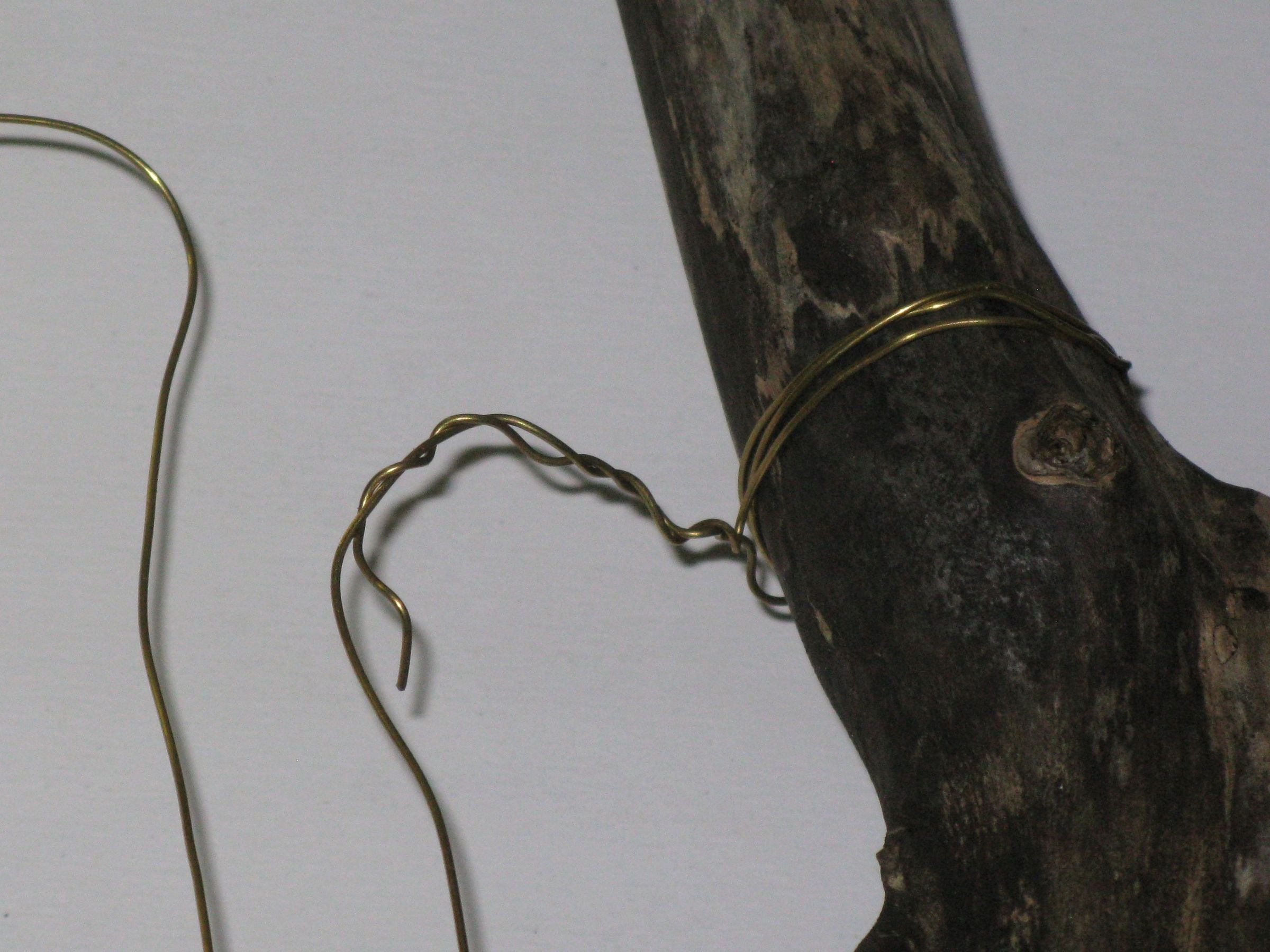 Snaring : 9 Steps (with Pictures) - Instructables