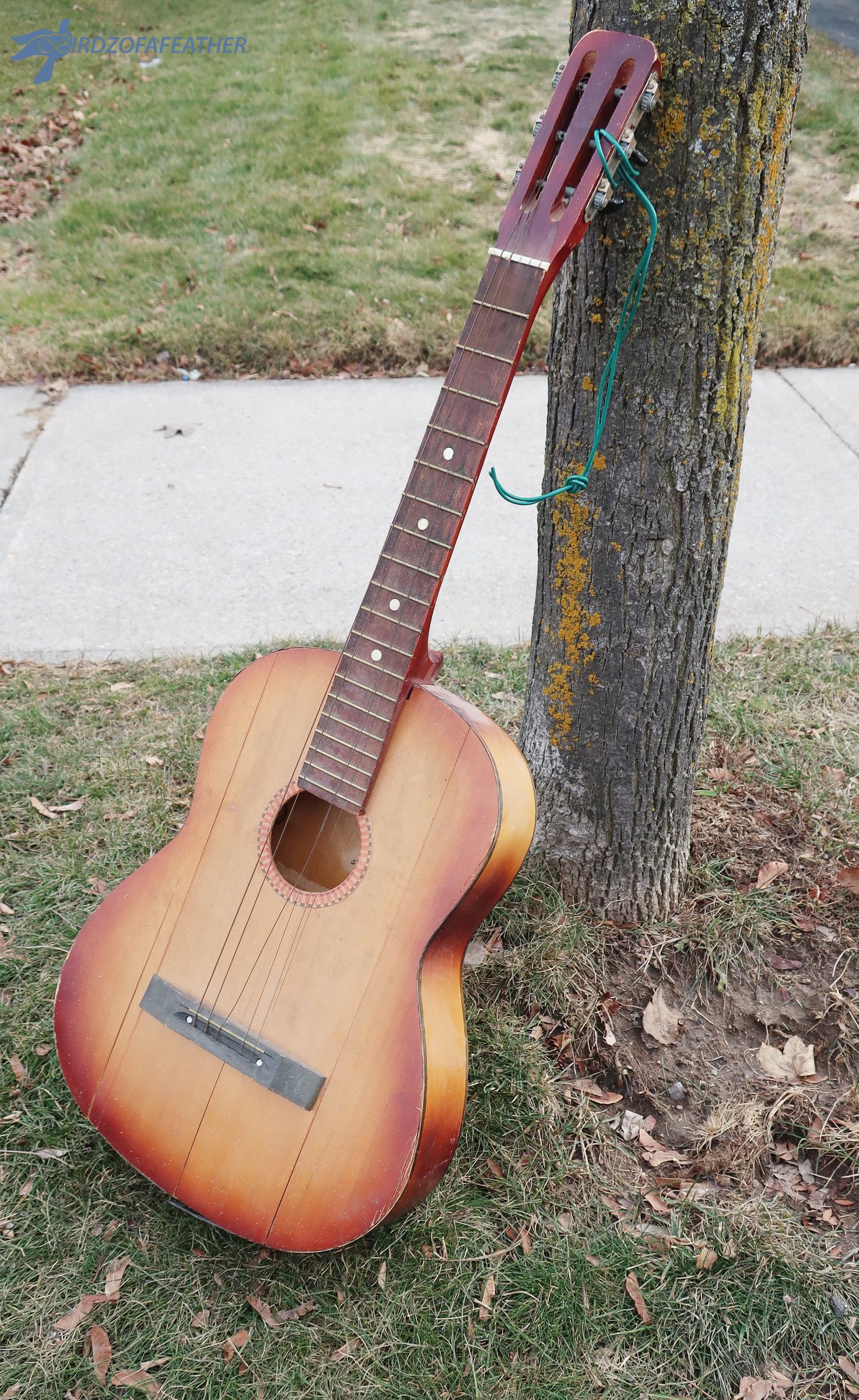 Guitar Planter : 20 Steps (with Pictures) - Instructables
