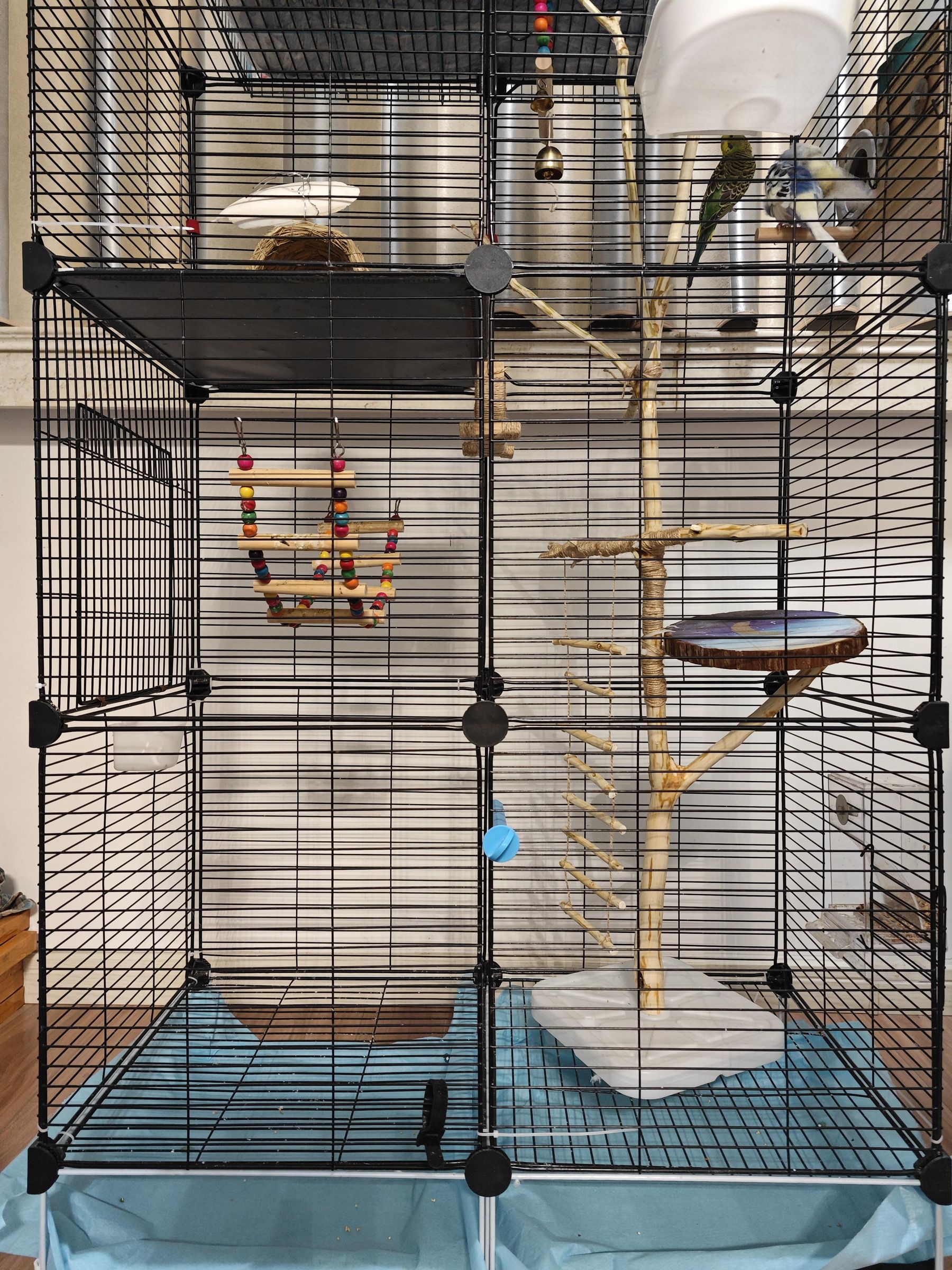 Natural Camphor Wood Parrot Play Gym : 5 Steps - Instructables