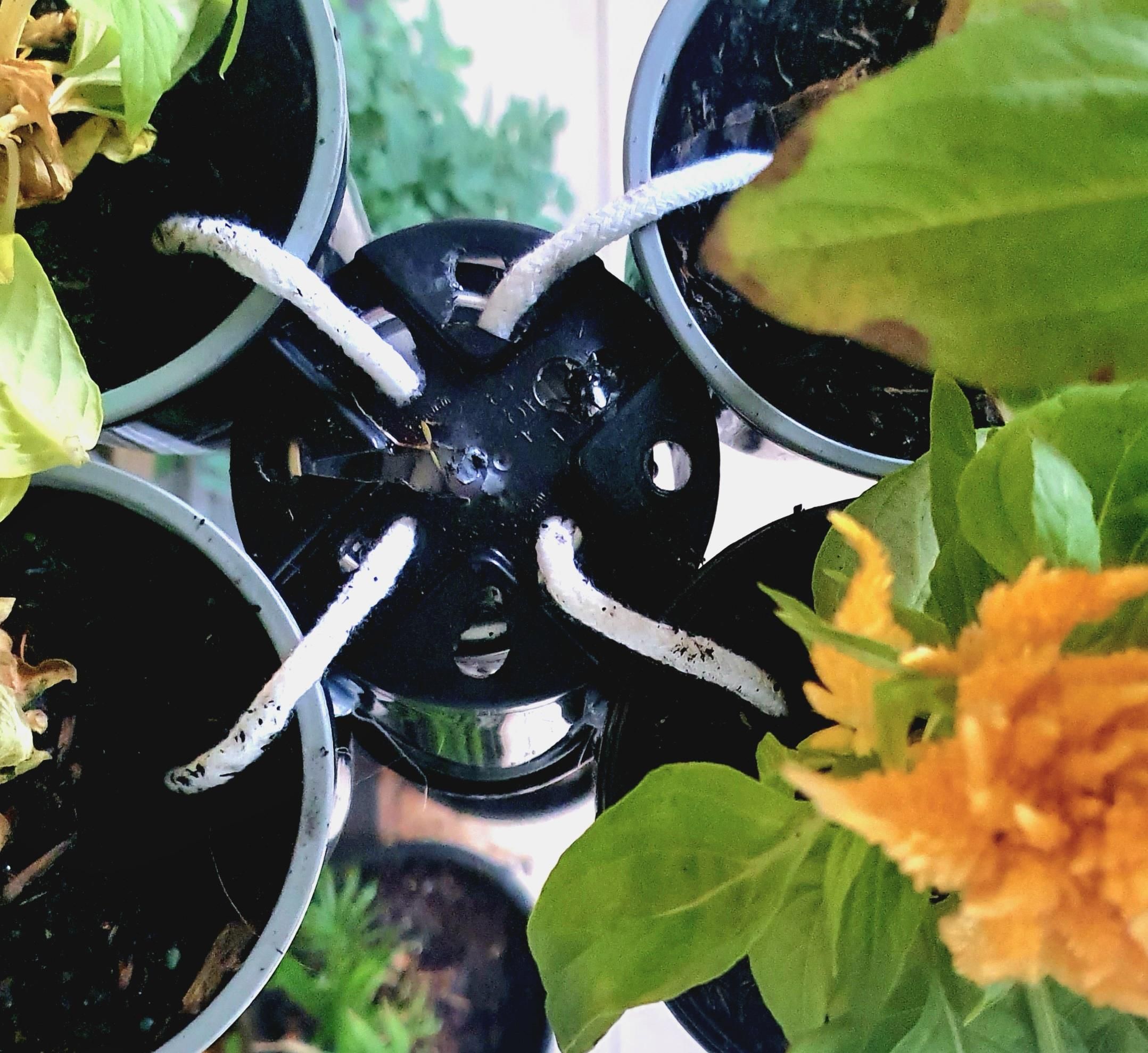 Vertical Flower Garden : 7 Steps (with Pictures) - Instructables