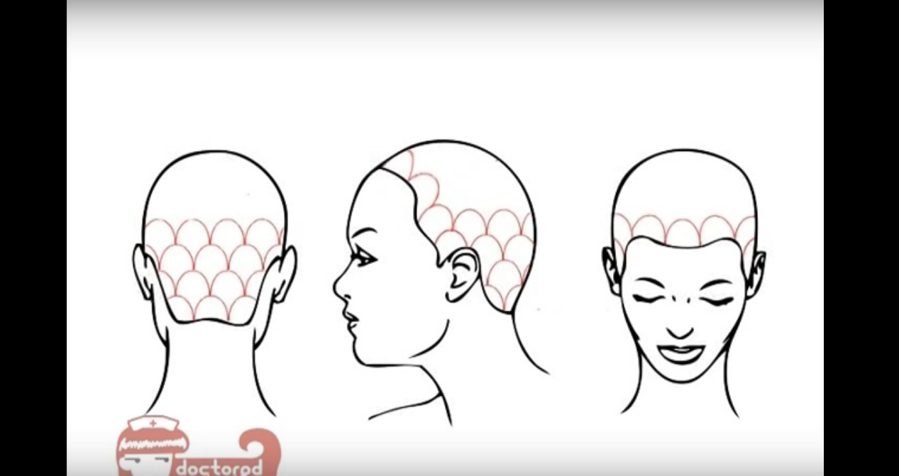 How to Section Your Hair for Braids and Dreadlocks : 3 Steps ...