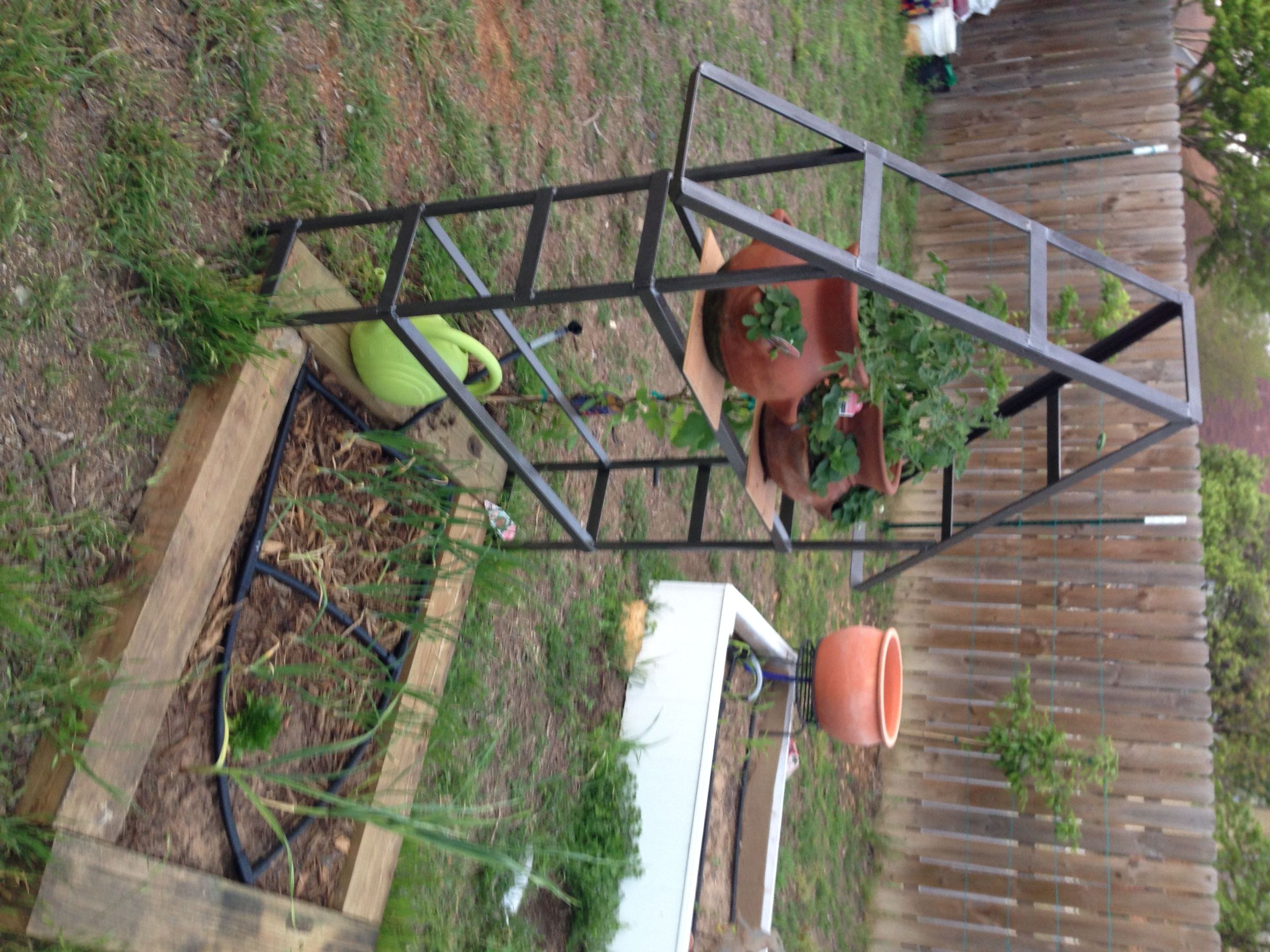 Metal Trellis for Garden VInes : 7 Steps (with Pictures) - Instructables