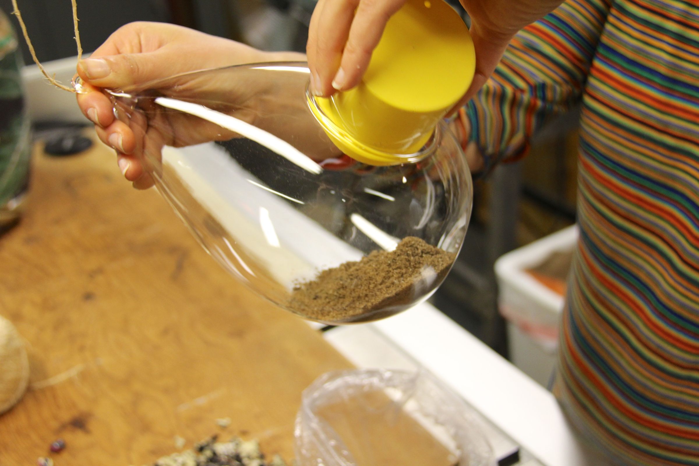 How to Make a Terrarium : 7 Steps (with Pictures) - Instructables