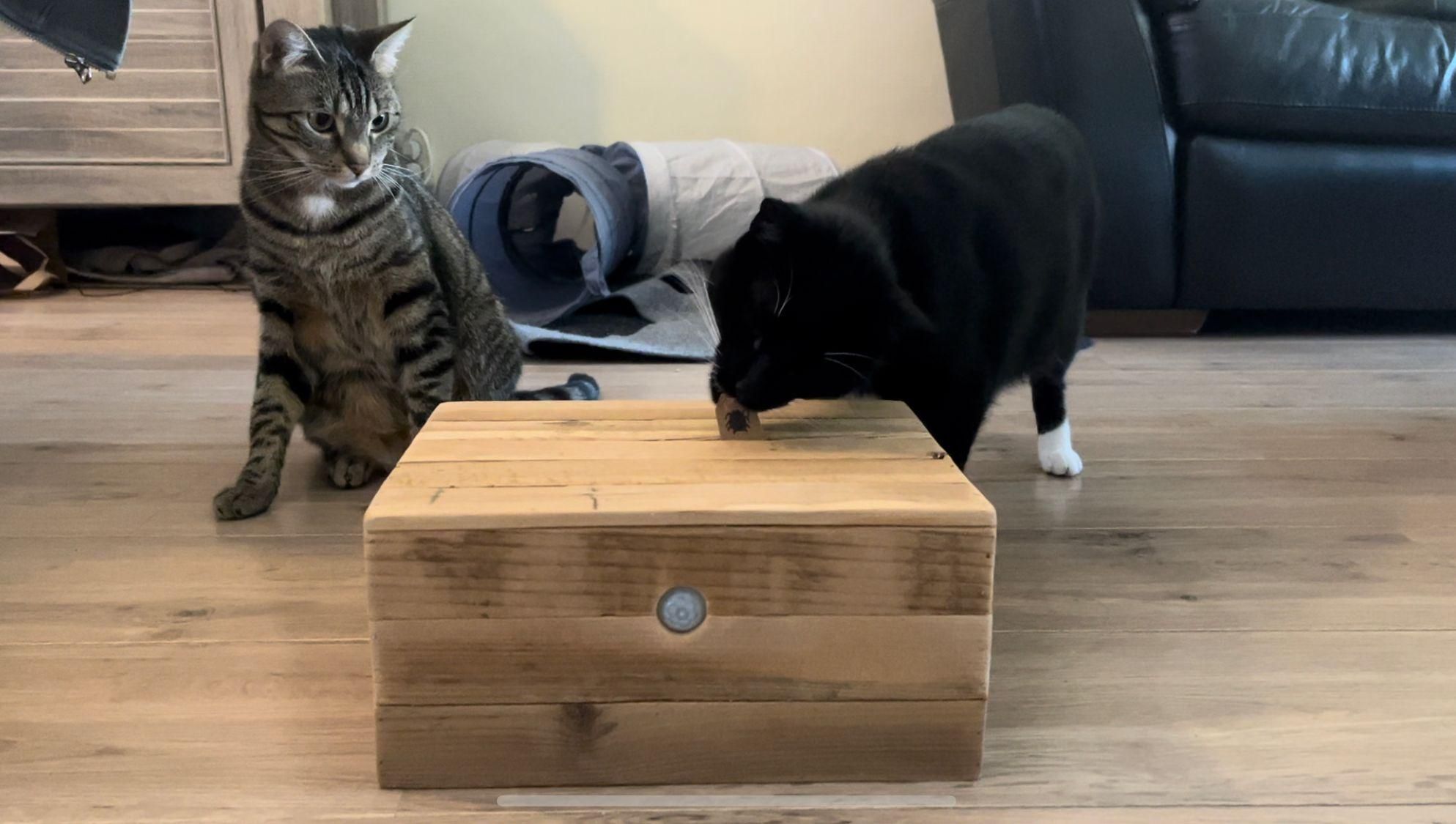 Interactive Cat Toy -- Eddie Lever ITTT : 7 Steps - Instructables