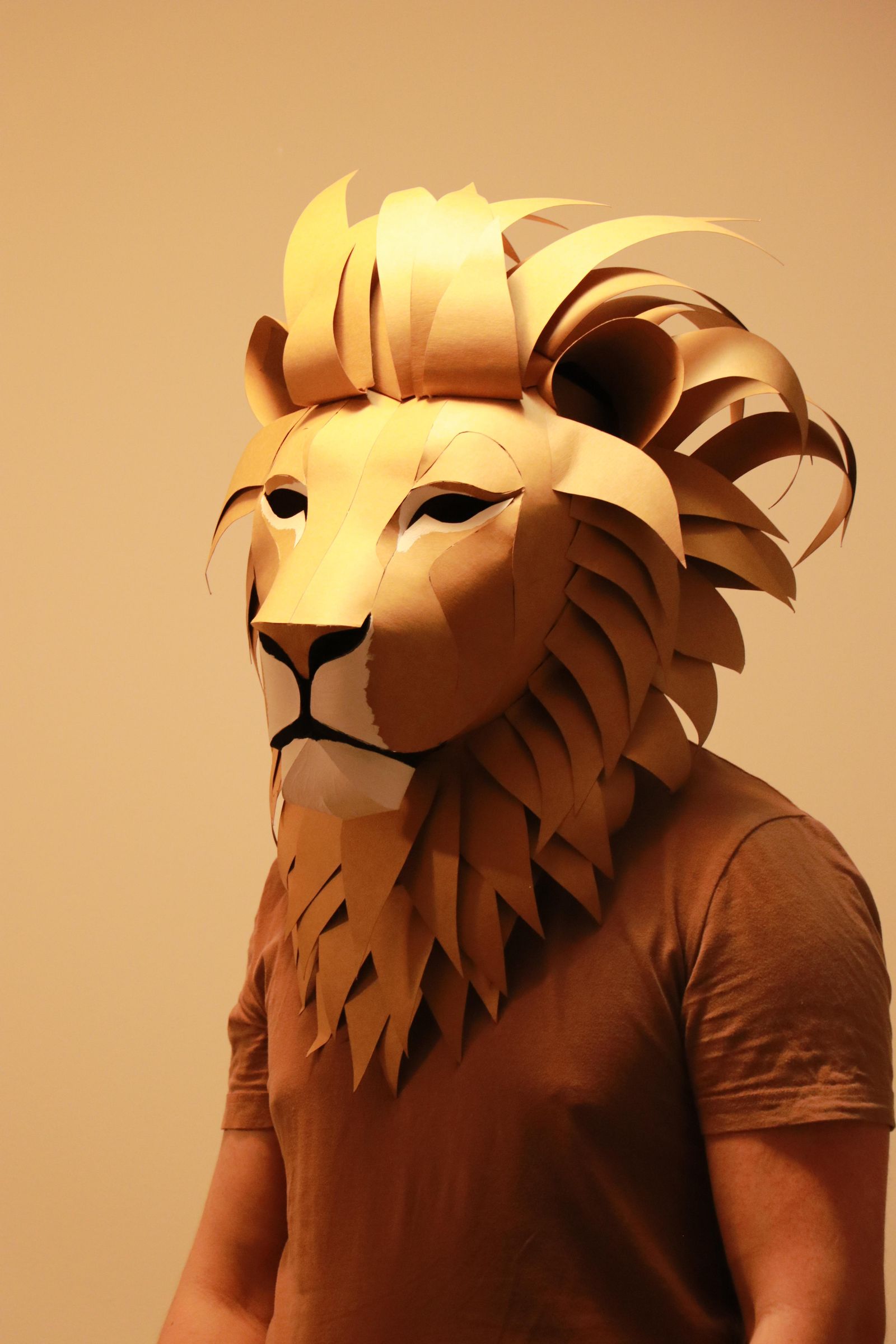 A Stylish Cardboard Lion Mask With Smooth Lines. Easy-to-follow ...