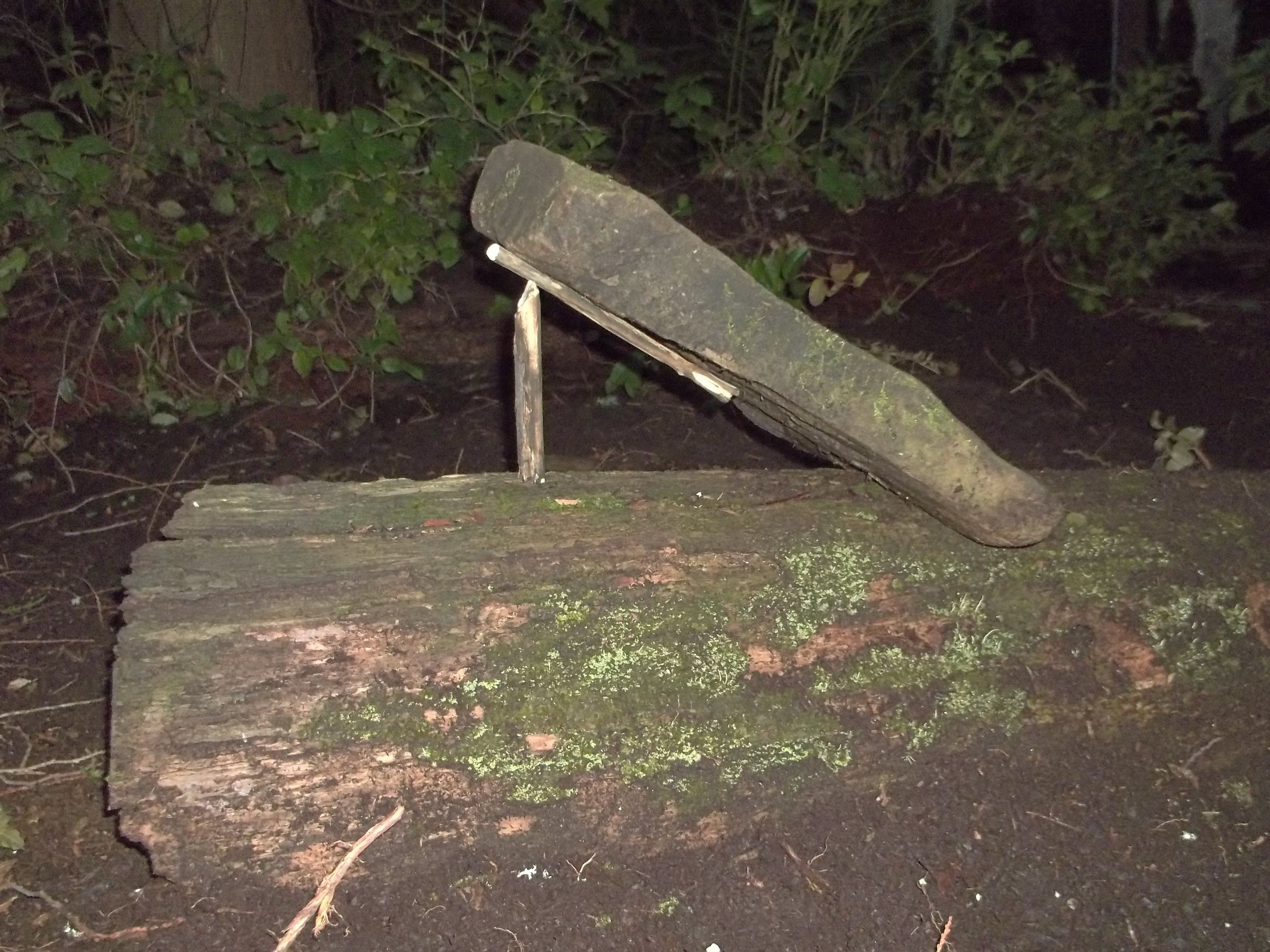 How to Make a Two Stick Deadfall Trap. - Instructables