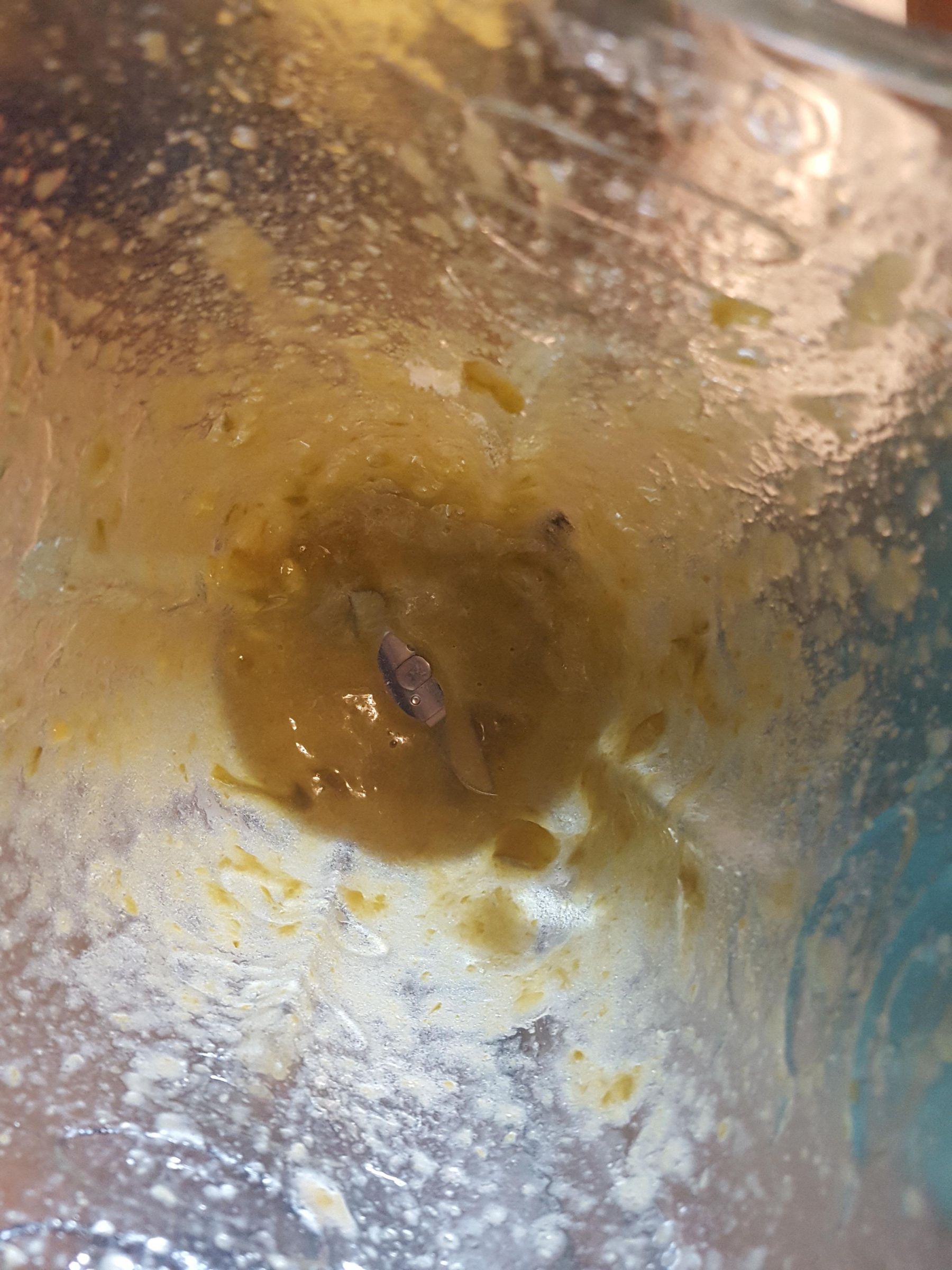 Snello, a Snails Favorite Treat : 5 Steps (with Pictures) - Instructables