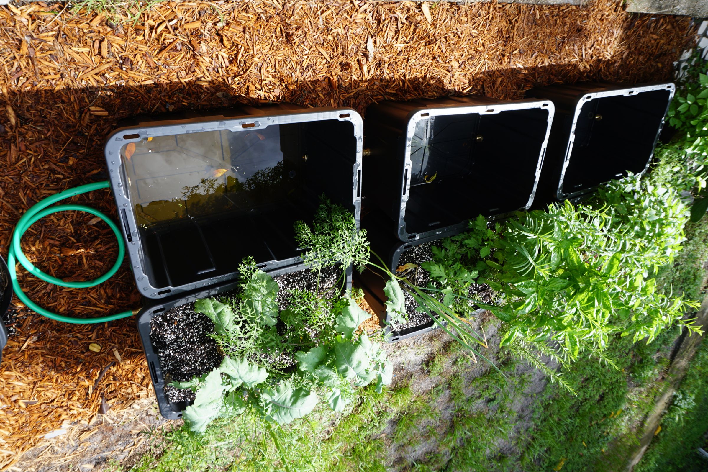 Self-watering Tote Garden : 3 Steps - Instructables