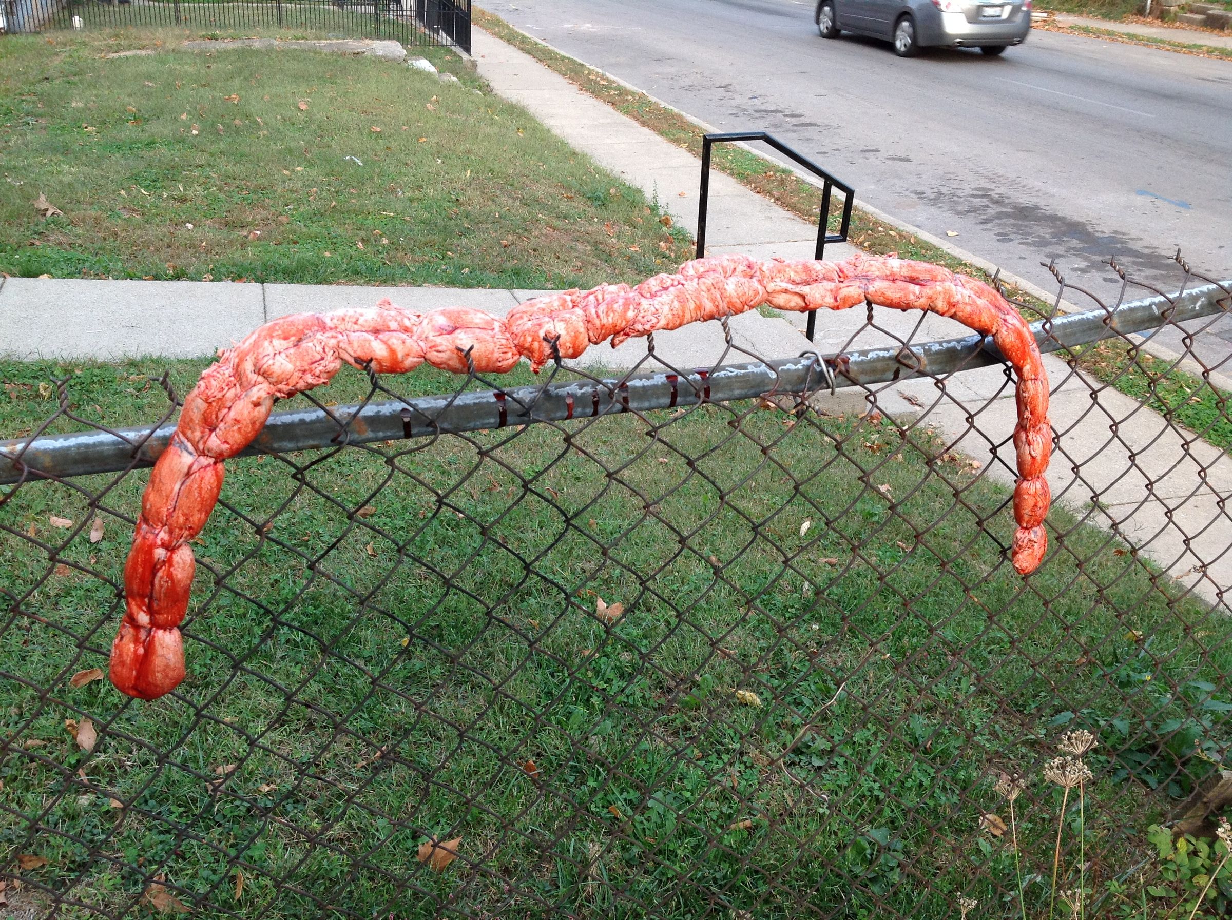 Fake Intestines : 7 Steps (with Pictures) - Instructables