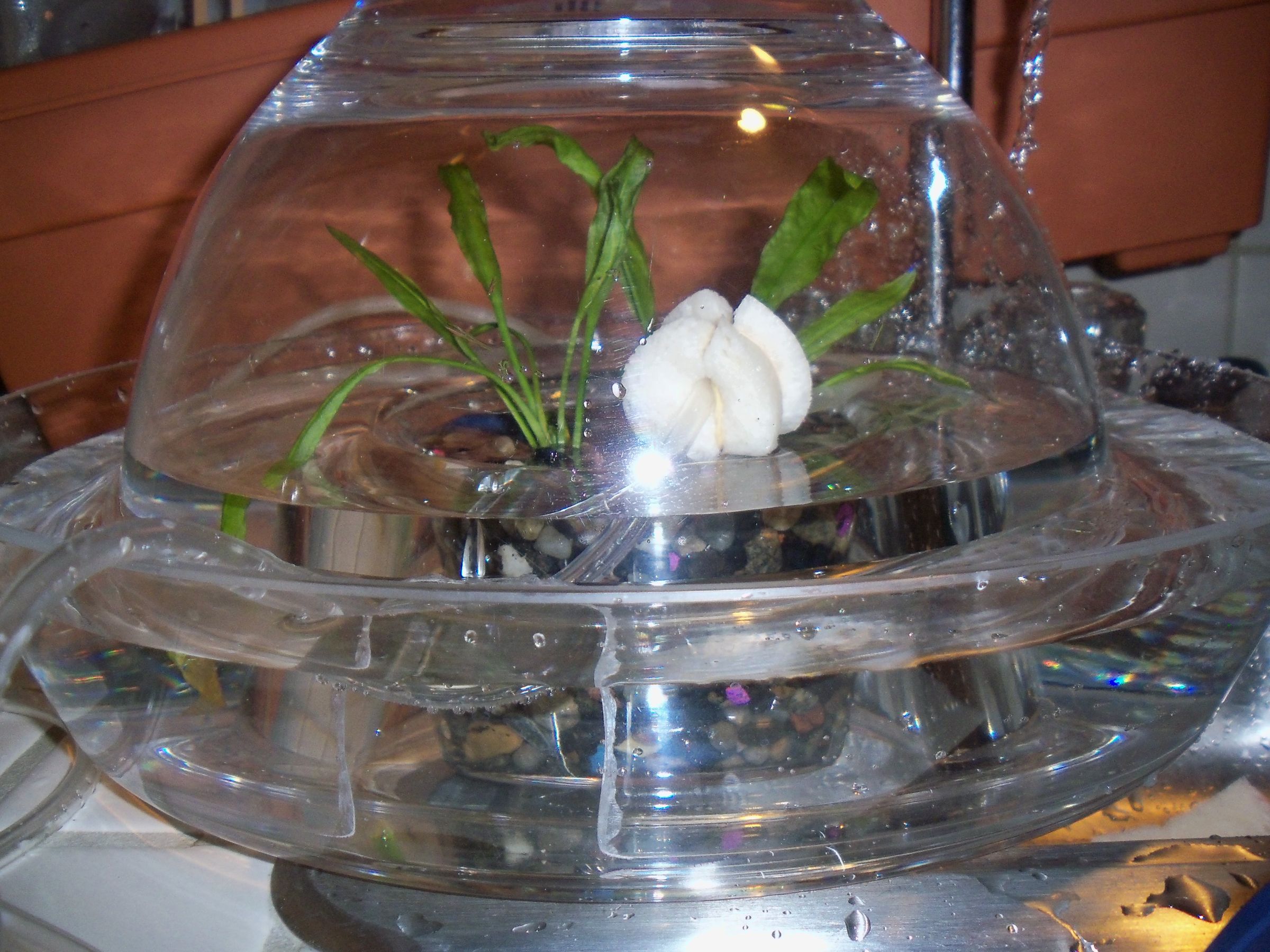 Simple Bottomless Aquarium : 8 Steps - Instructables