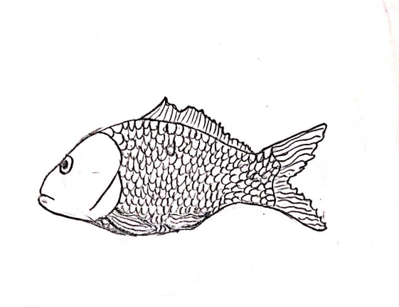 How to Draw a Fish : 9 Steps (with Pictures) - Instructables