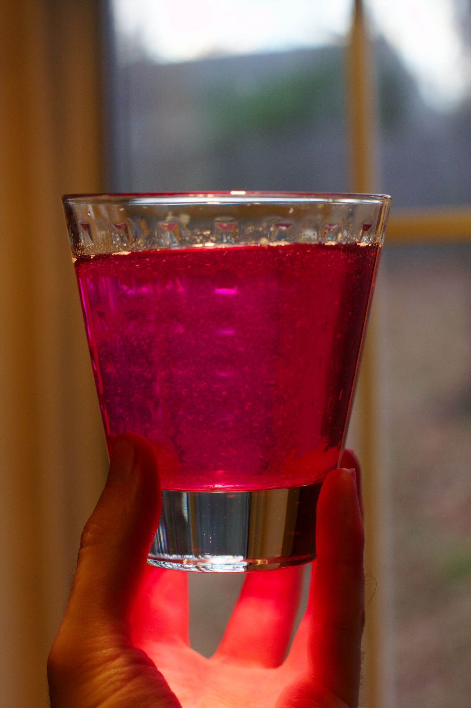 How to Prepare Prickly Pear : 6 Steps (with Pictures) - Instructables