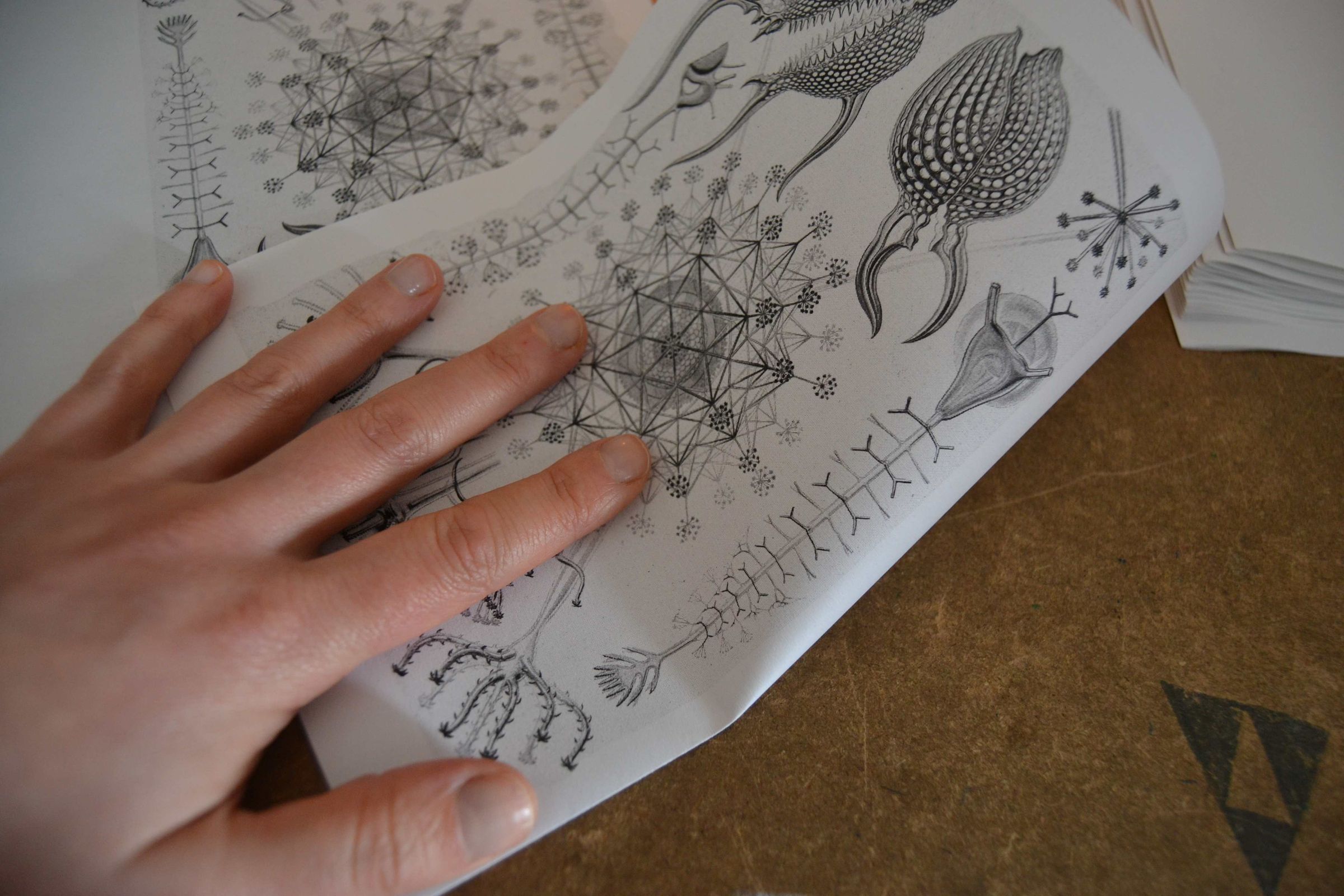 How to Bind a Book : 8 Steps (with Pictures) - Instructables