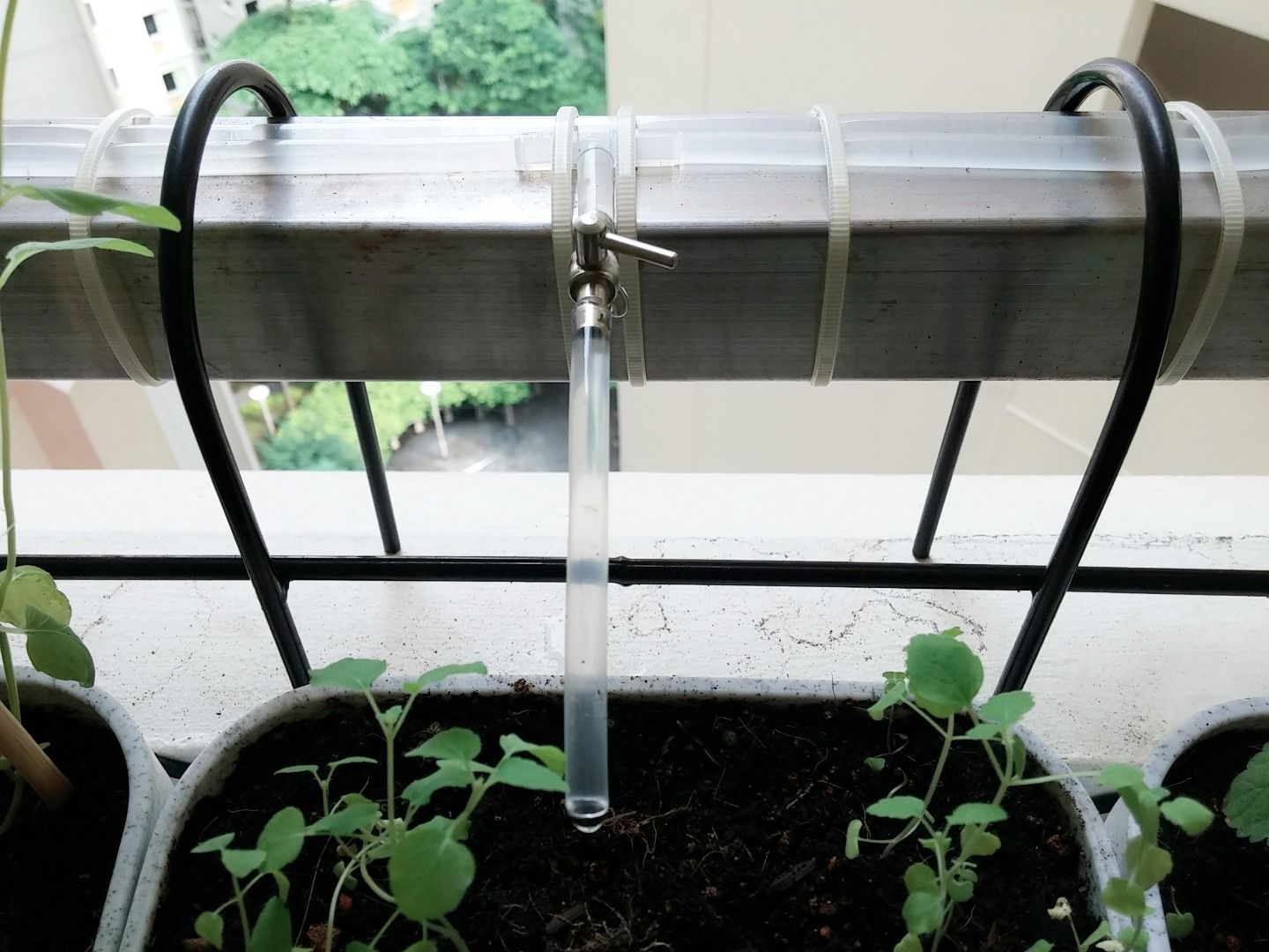 Home DIY Gravity Drip Irrigation for Herbs and Plants : 4 Steps (with ...