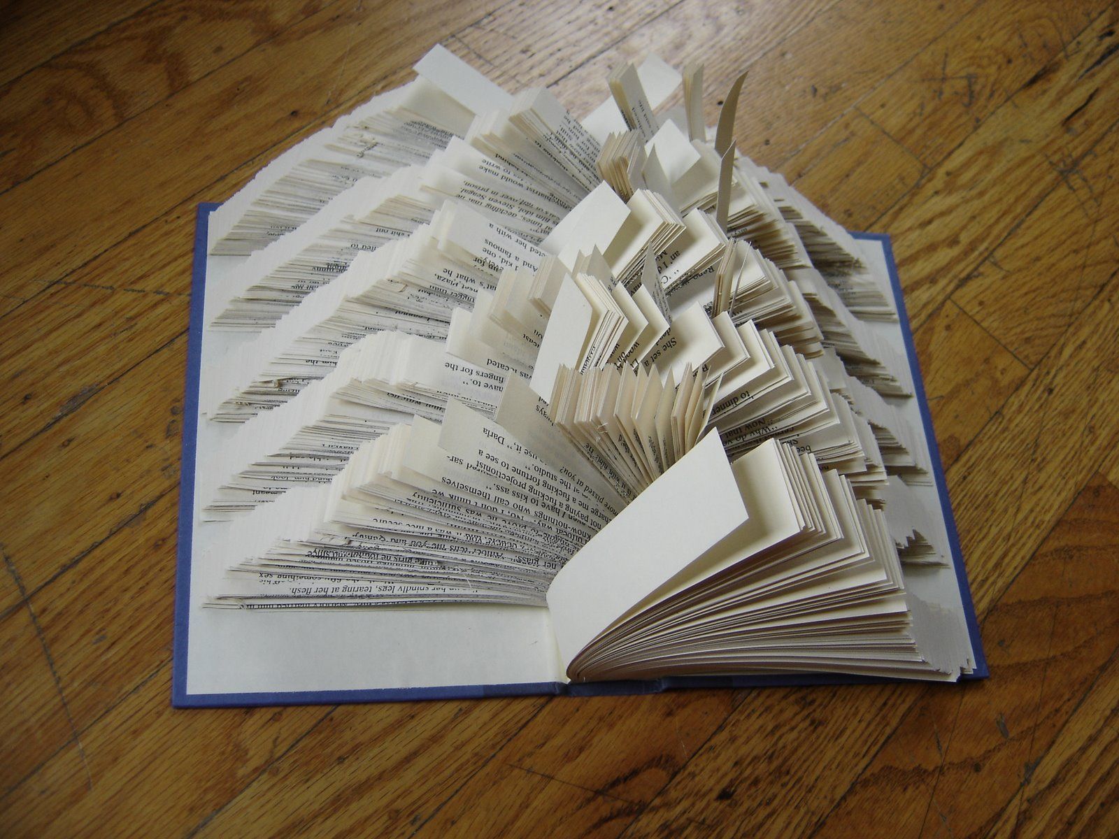 The Dissected Manuscript : 6 Steps - Instructables