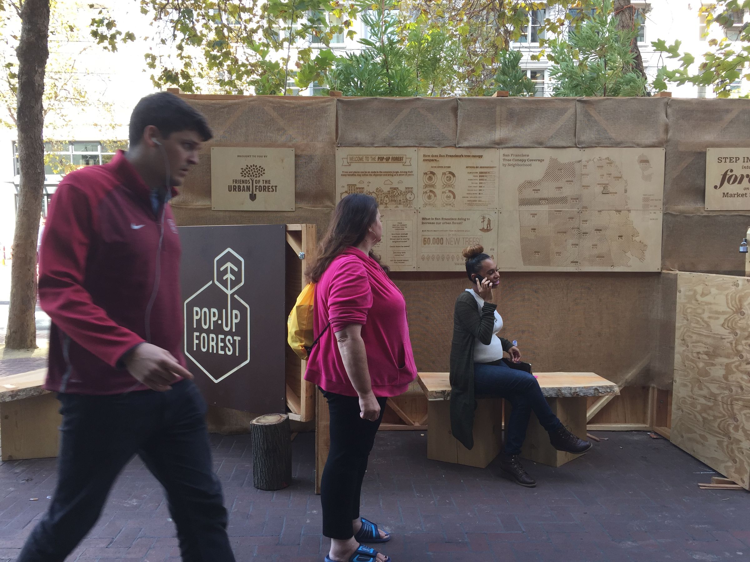 How to Create a Pop-Up Forest! : 6 Steps (with Pictures) - Instructables