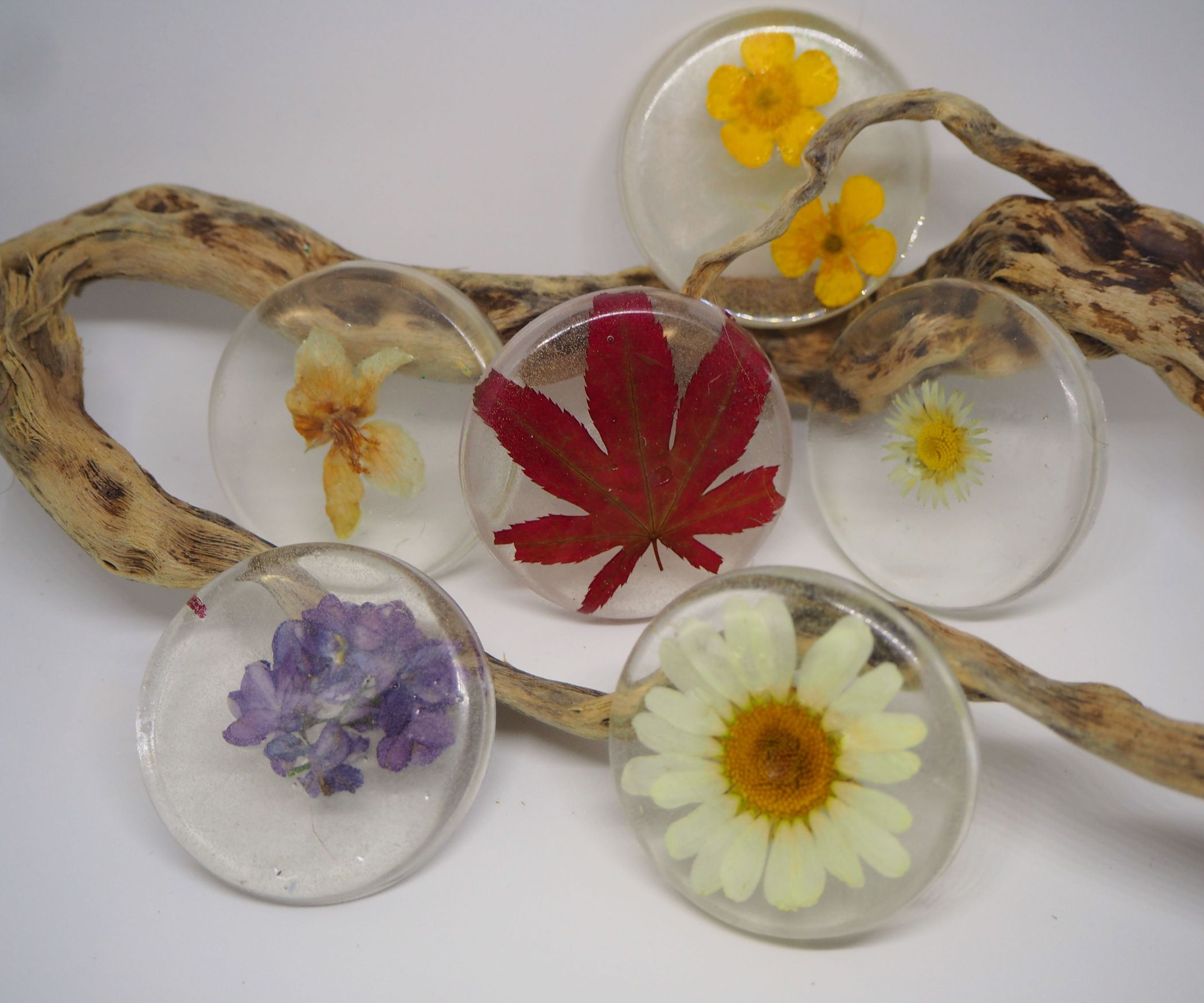 Techniques to Embed Flowers in Resin : 12 Steps (with Pictures ...