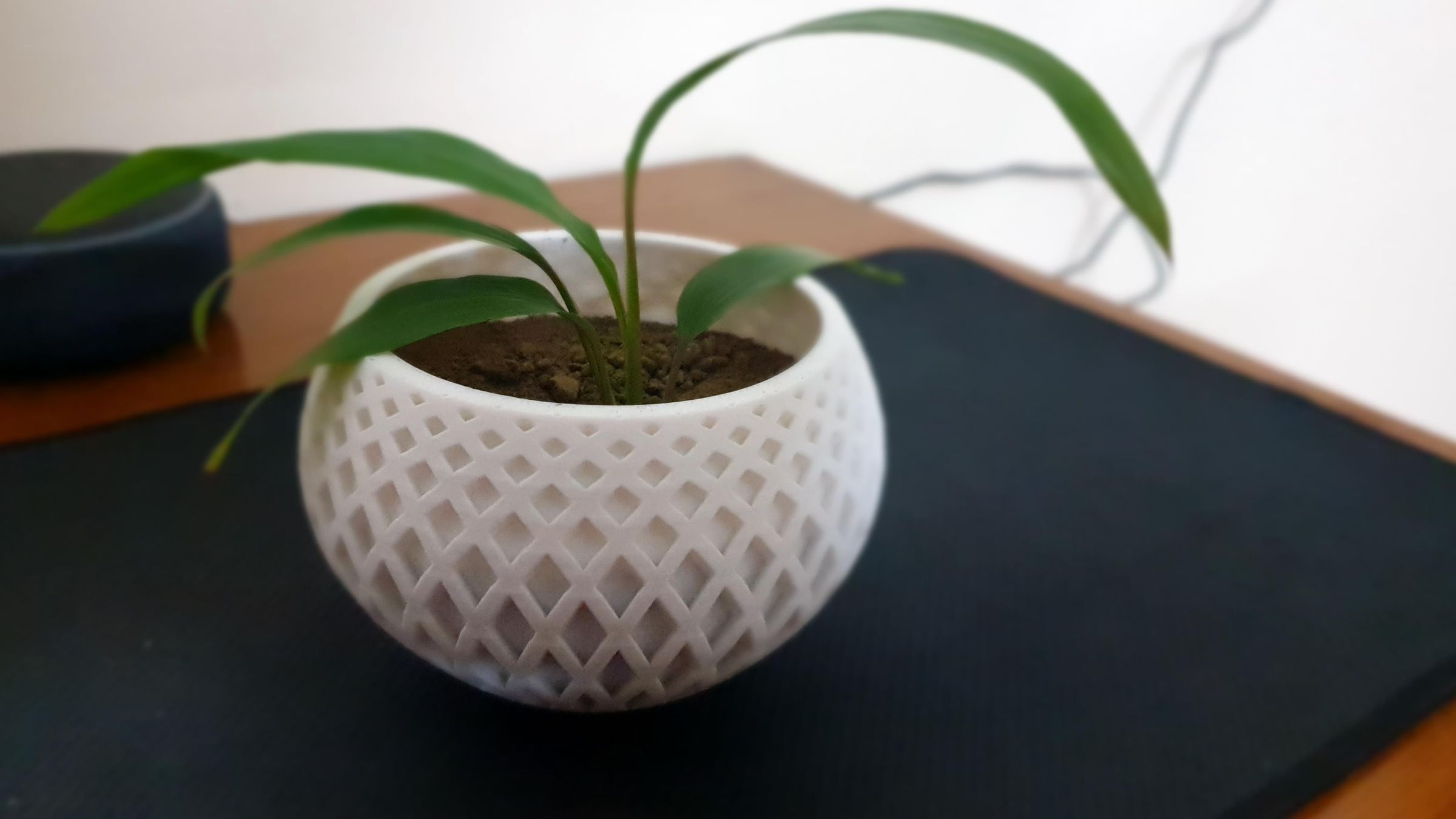 DIY ᐈ 3D Printed Indoor Planters in Just 10 Steps! [ Fusion 360 ] : 12 Steps (with Pictures ...