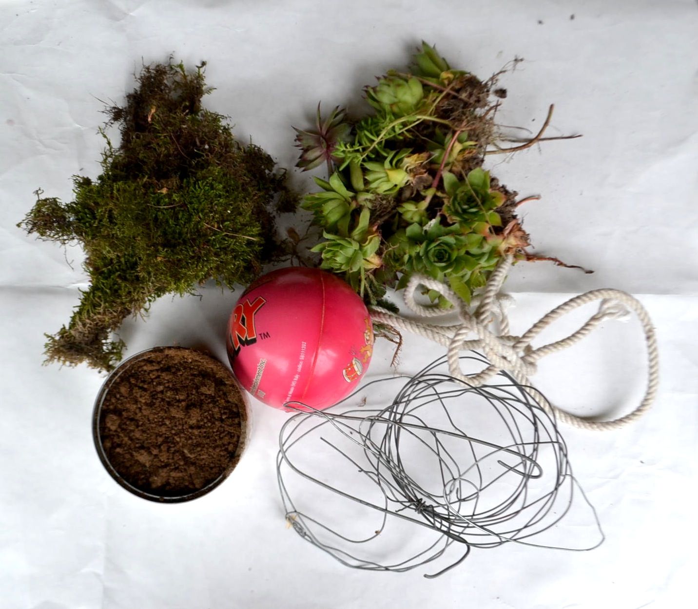 SUCCULENTS BALL : 8 Steps (with Pictures) - Instructables