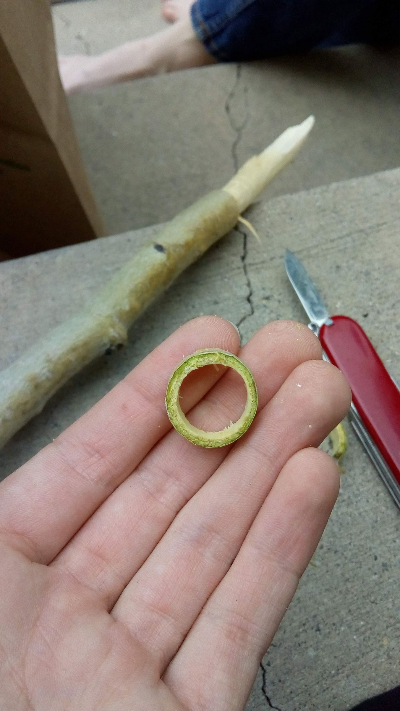 Tree Bark Rings : 5 Steps (with Pictures) - Instructables