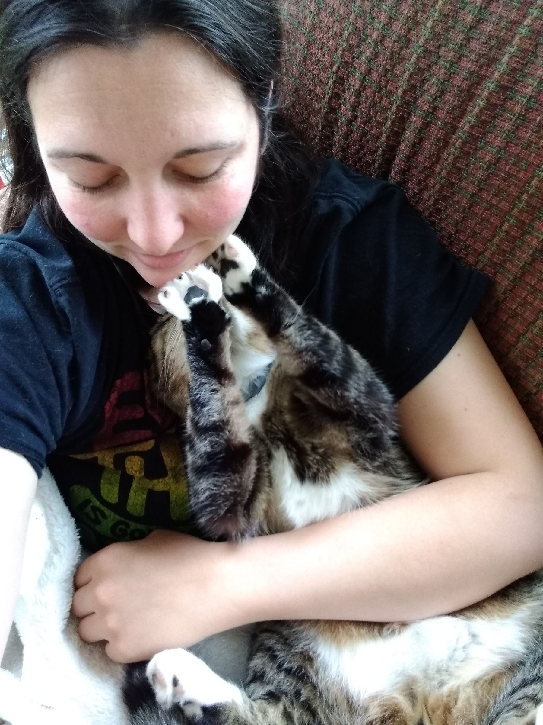 How To: Lull Your Cat to Sleep : 14 Steps (with Pictures) - Instructables