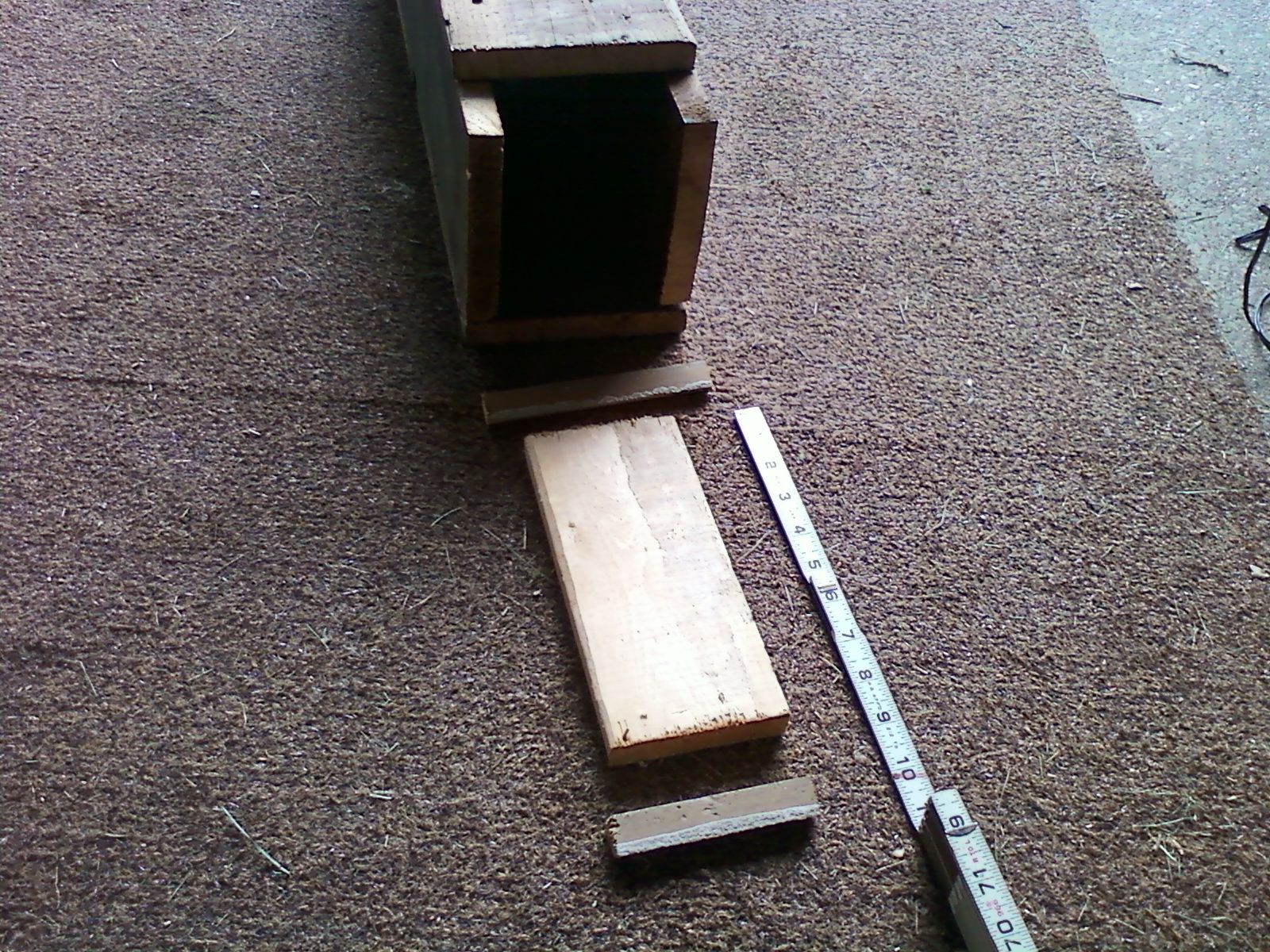 Have Fun Humanely Catching That Pesky Rabbit in Your Summer Vegetable ...