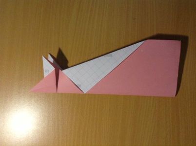 How to Make a Canard Paper Airplane : 11 Steps - Instructables