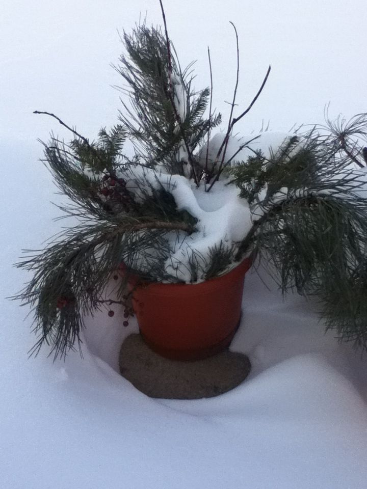 Holiday "Wish" Pot Arrangement : 5 Steps - Instructables