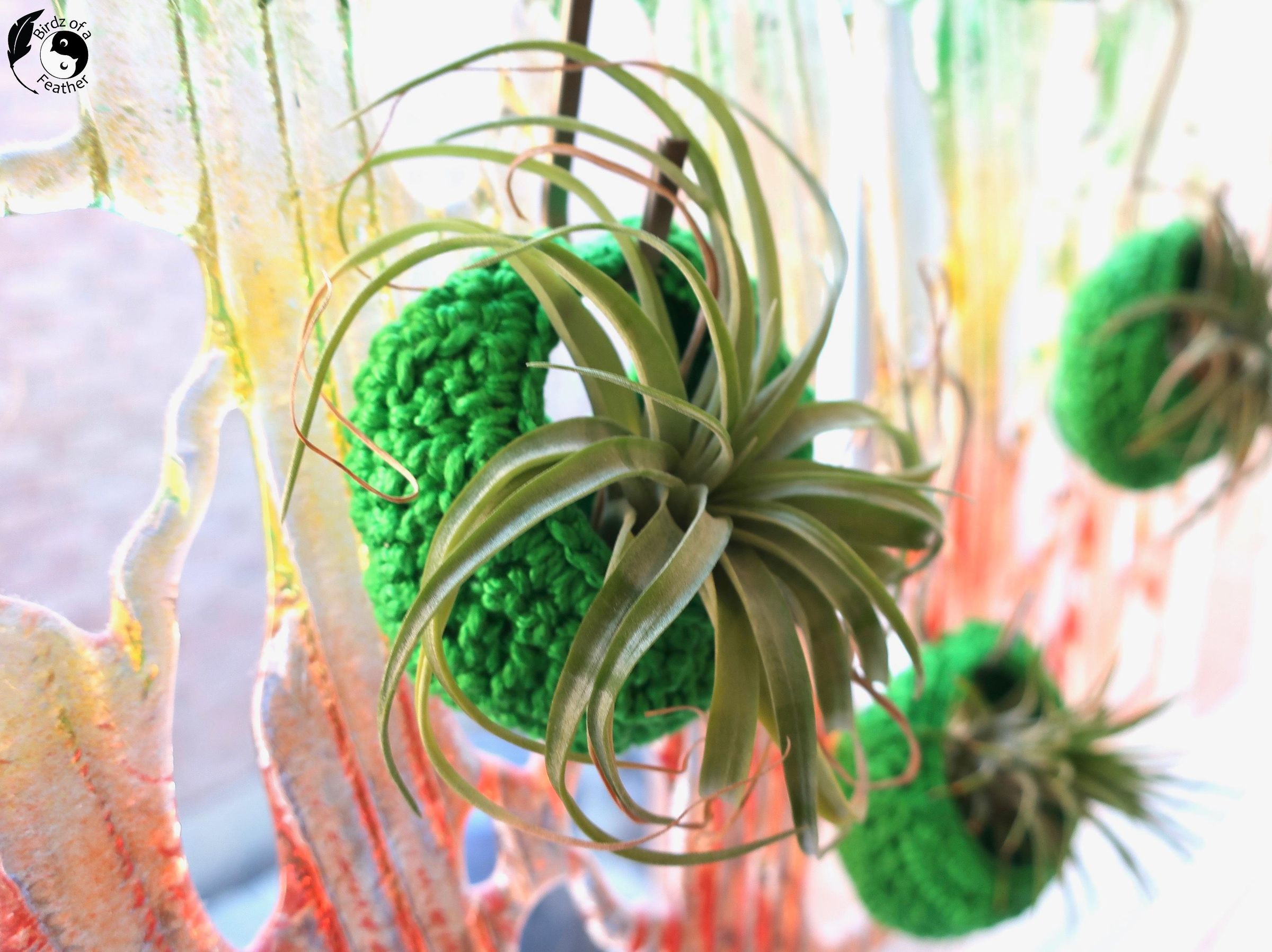 How to Crochet Air Plant Pods : 15 Steps (with Pictures) - Instructables