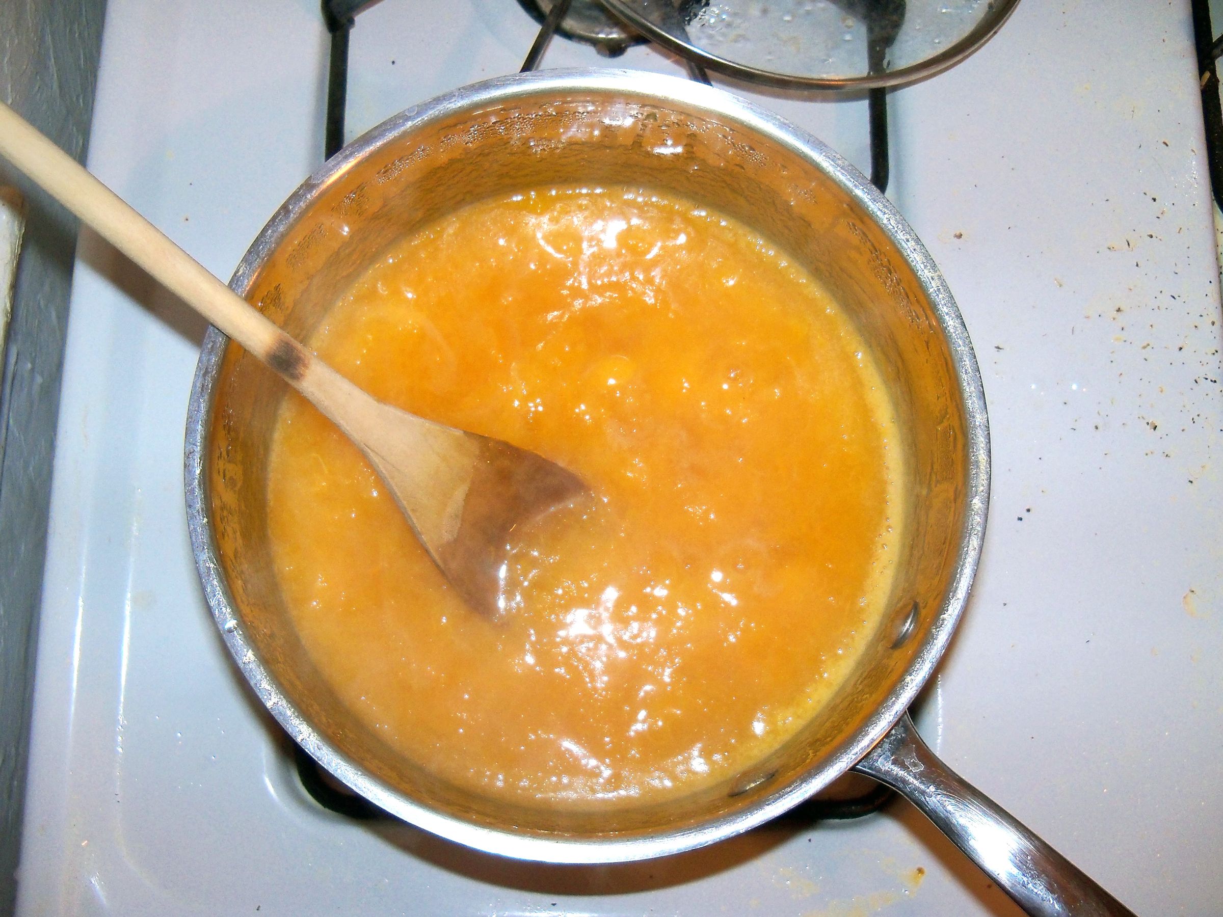 Apricot Butter - Instructables