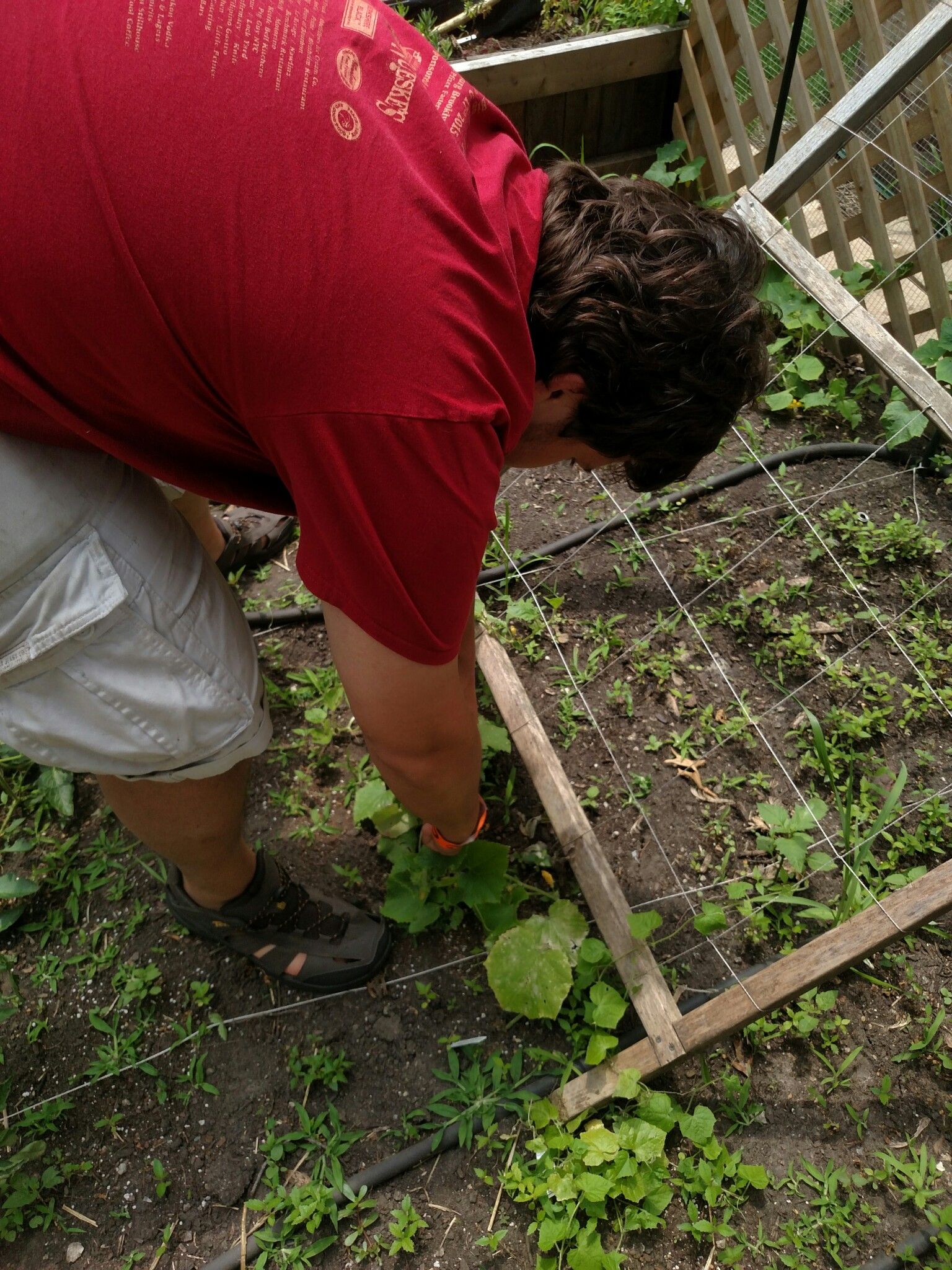 Outdoor Pallet Garden : 10 Steps (with Pictures) - Instructables