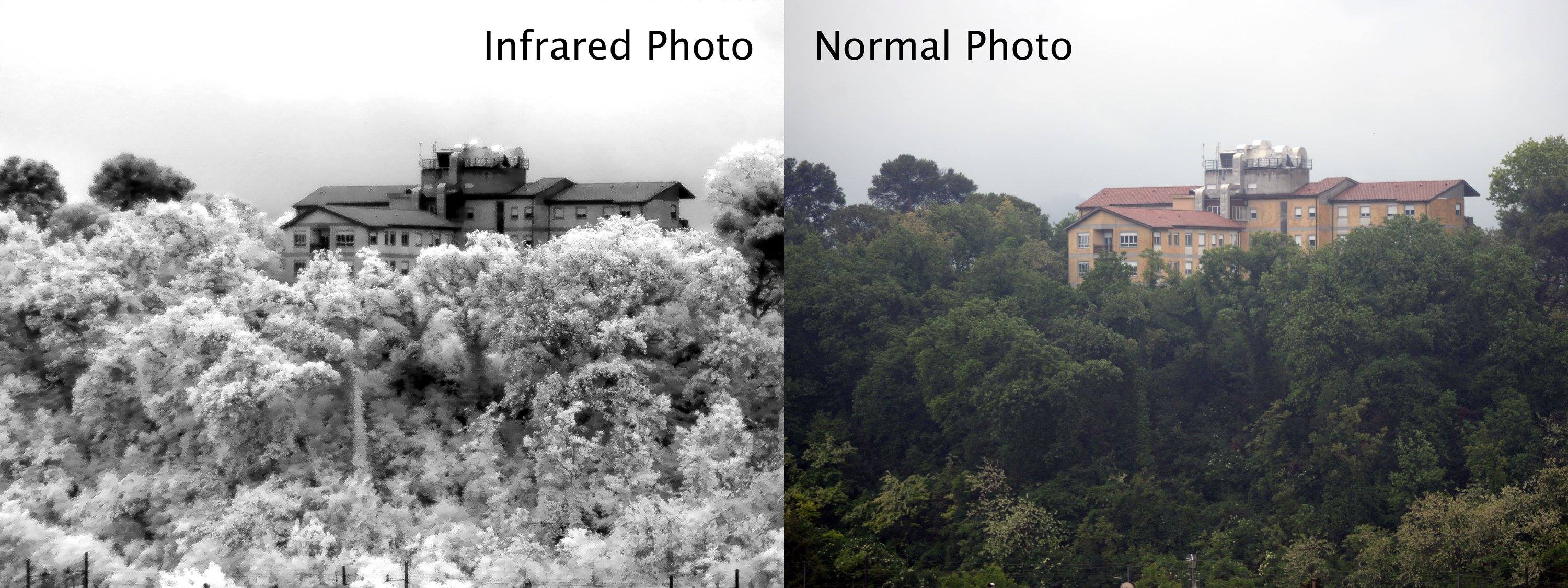 Cheap Infrared Photography : 12 Steps (with Pictures) - Instructables