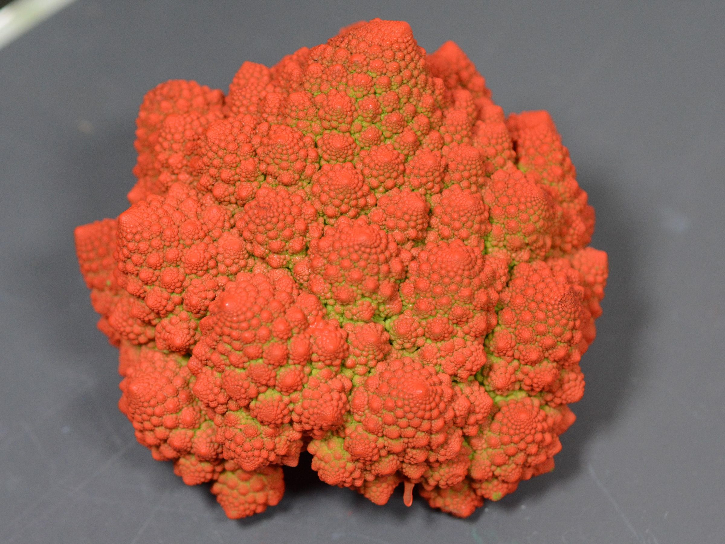 Turn Romanesco Broccoli Into a Candle : 17 Steps (with Pictures ...