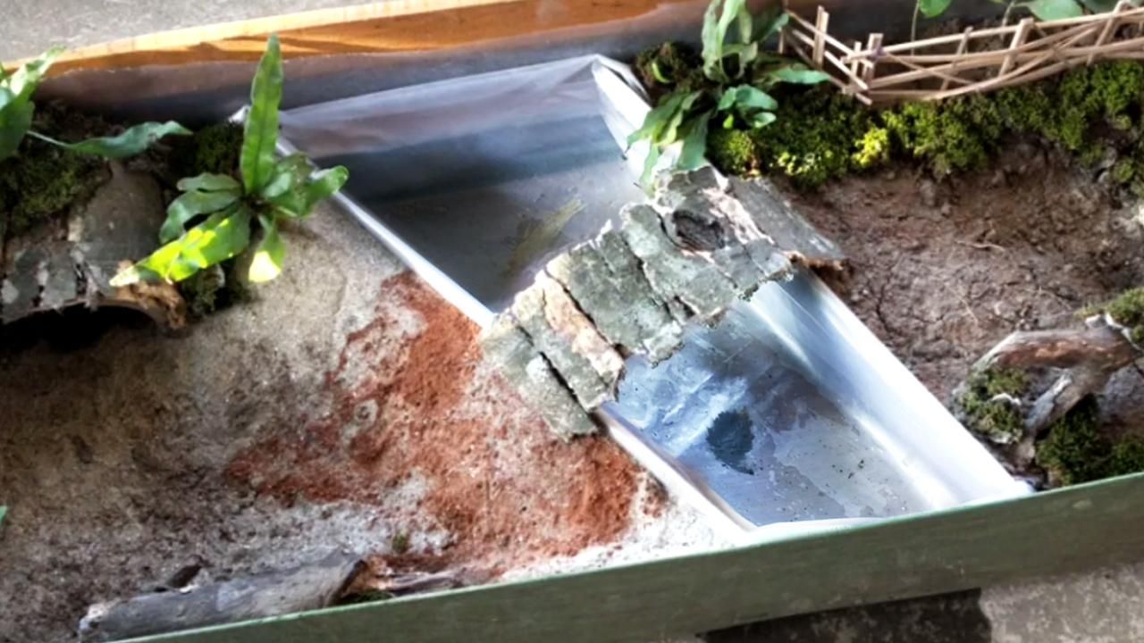 Turtle Habitat for Baby Turtles | Homemade Turtle Garden : 18 Steps ...
