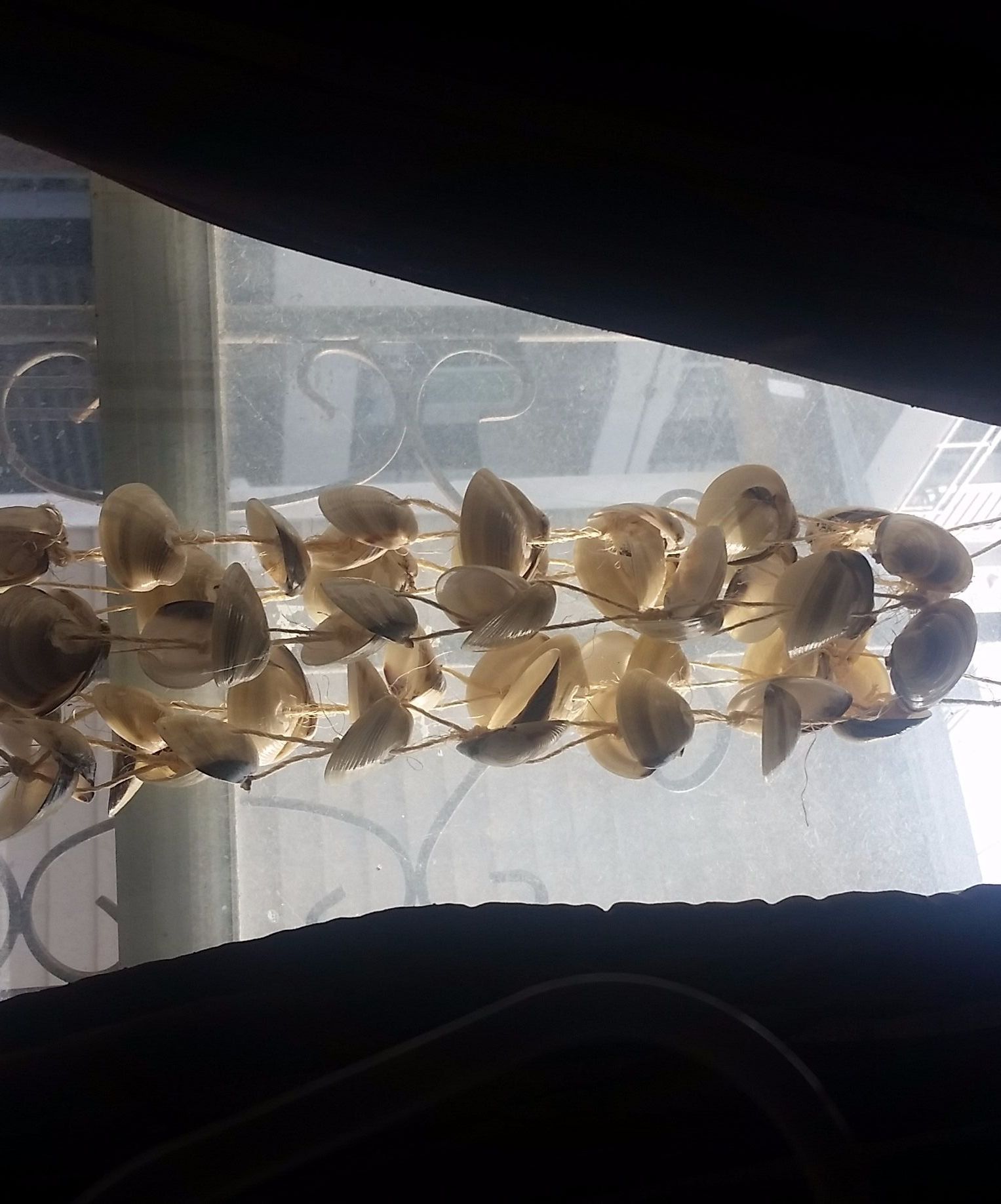 DIY Clam Shell Wind Chime : 4 Steps (with Pictures) - Instructables