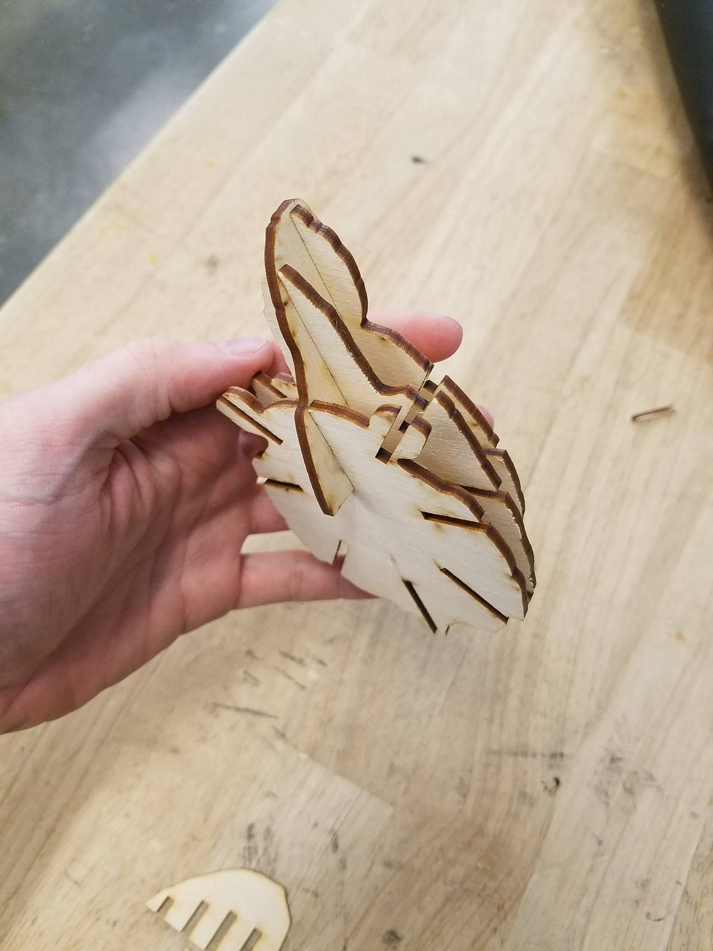 Laser Cut Turtle : 3 Steps (with Pictures) - Instructables