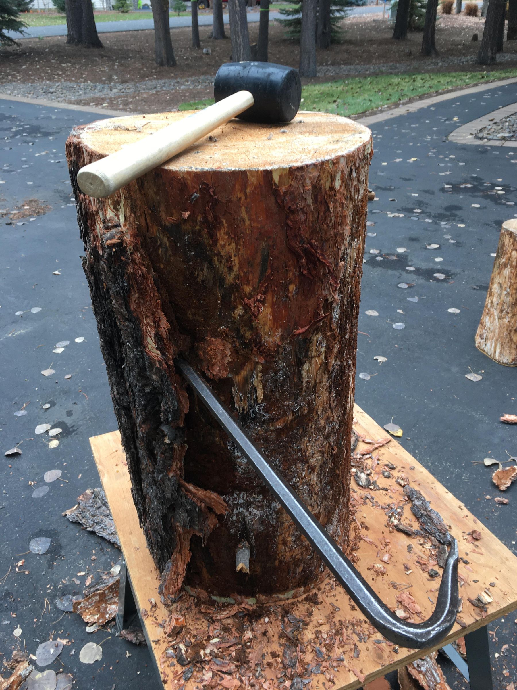 Wooden Deer Head : 11 Steps (with Pictures) - Instructables