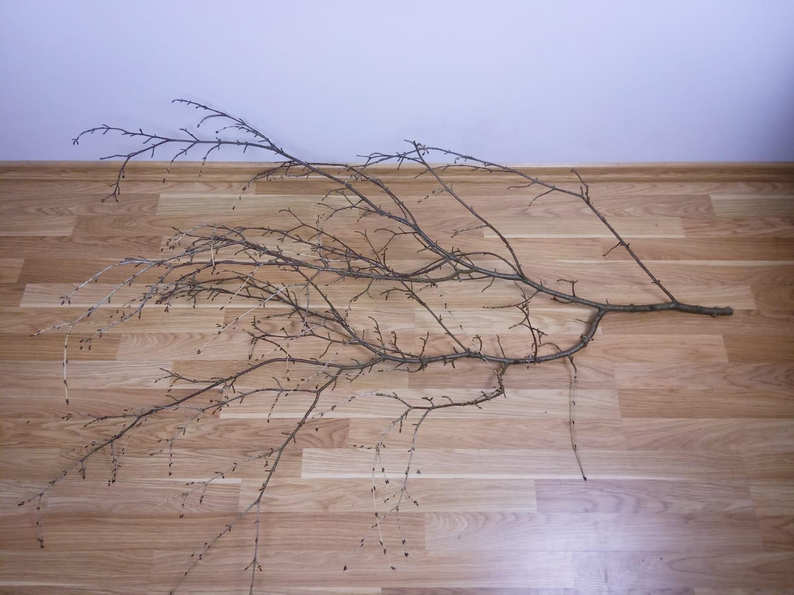 DIY Sakura Tree : 5 Steps (with Pictures) - Instructables