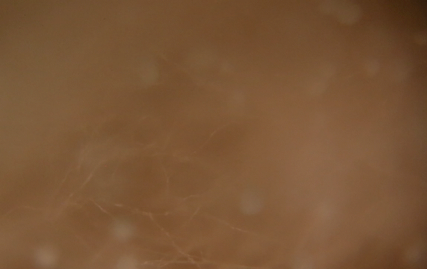 DSLR Microphotography : 12 Steps (with Pictures) - Instructables