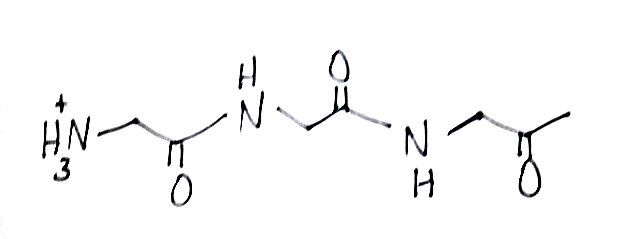 How to Draw Peptide Chains : 18 Steps (with Pictures) - Instructables