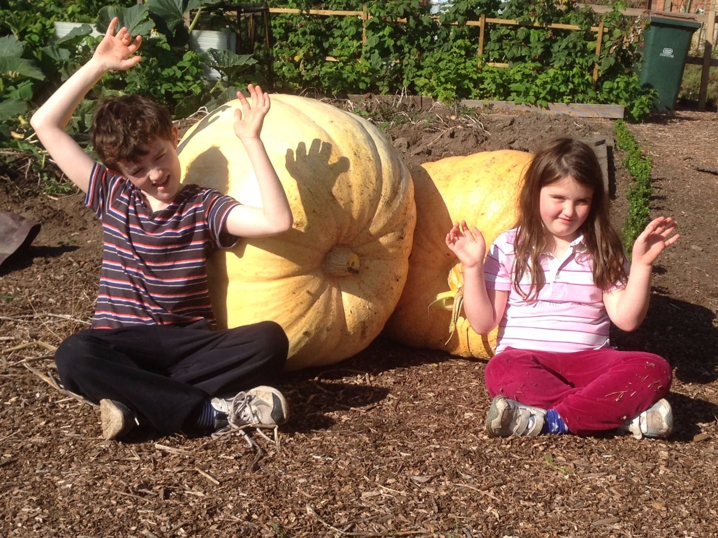 Super Sized Pumpkins : 4 Steps (with Pictures) - Instructables