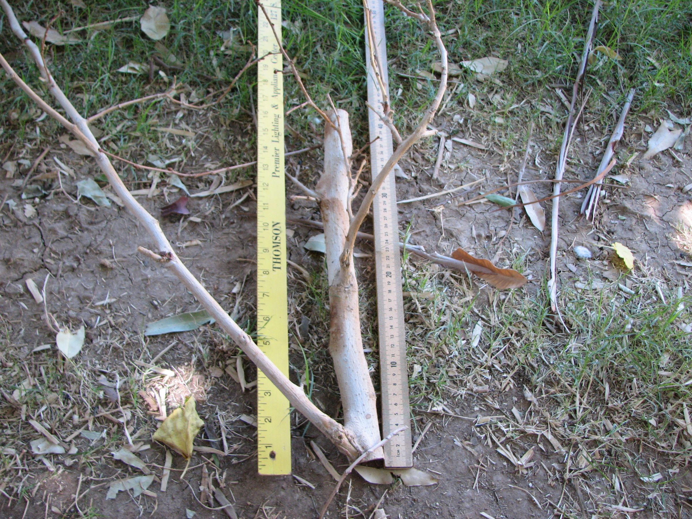 How to Make an Atlatl : 12 Steps - Instructables